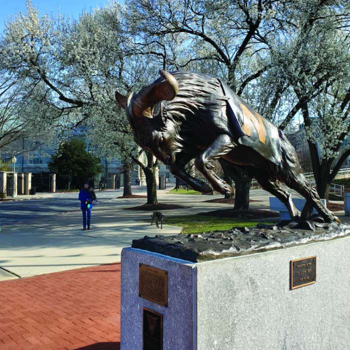 United States Naval Academy (USNA): 10 "Don't Miss" Attractions