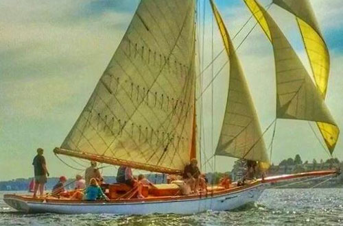 Elf Classic Yacht Race | SpinSheet