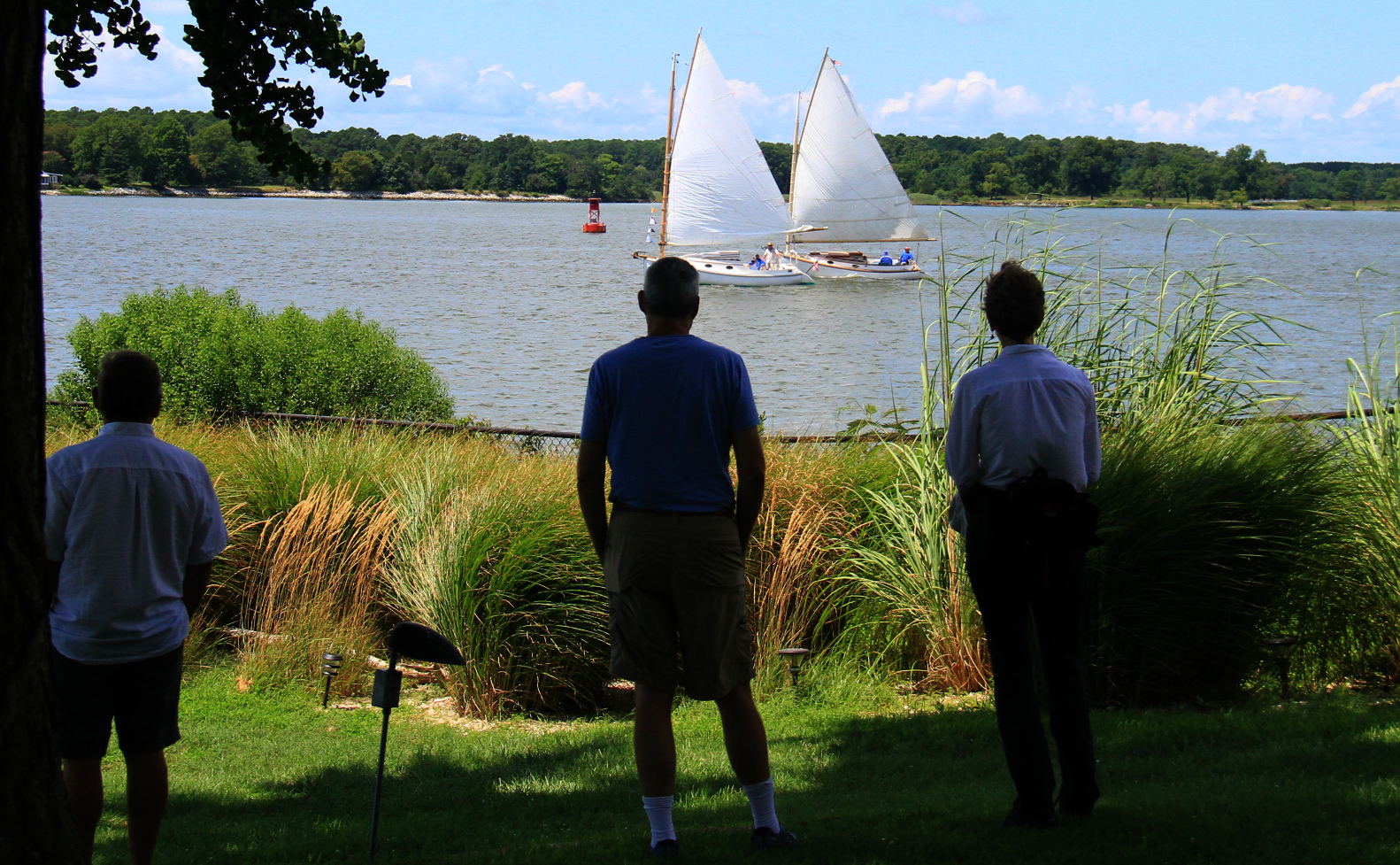 Cruising Sailors Discover the Choptank River