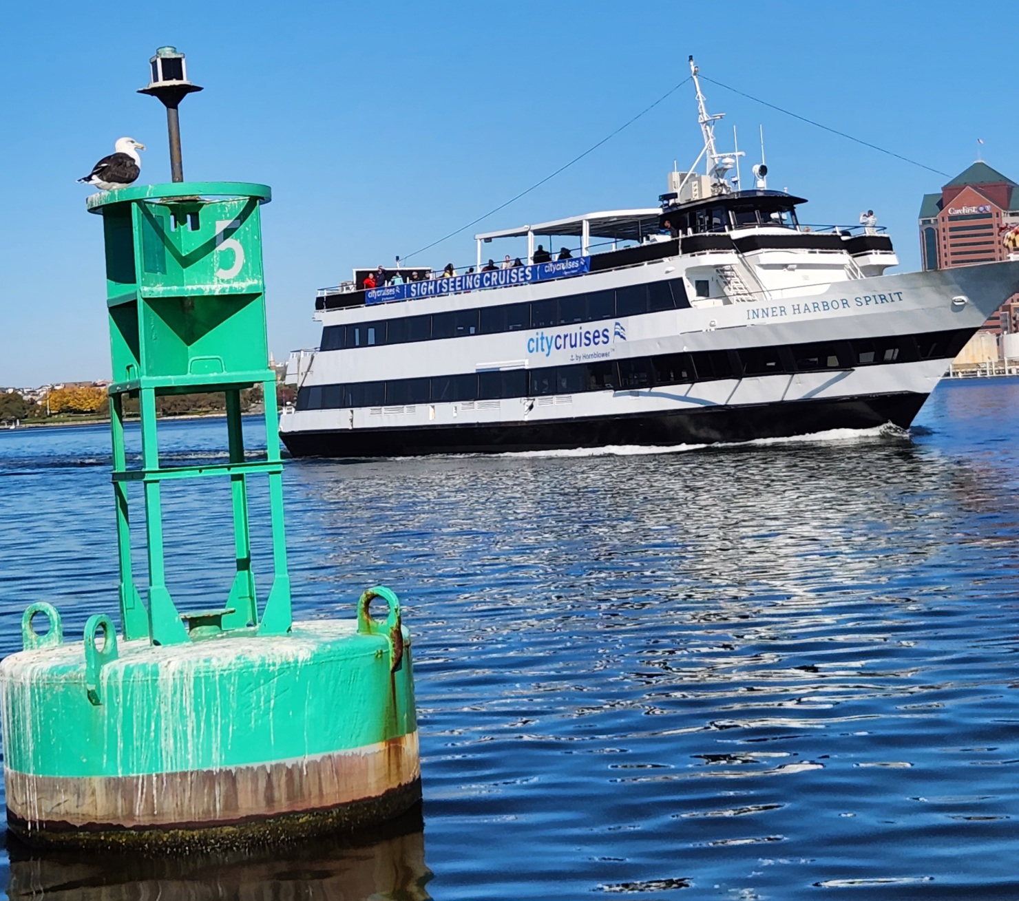 20221029_132702.jpg | SpinSheet