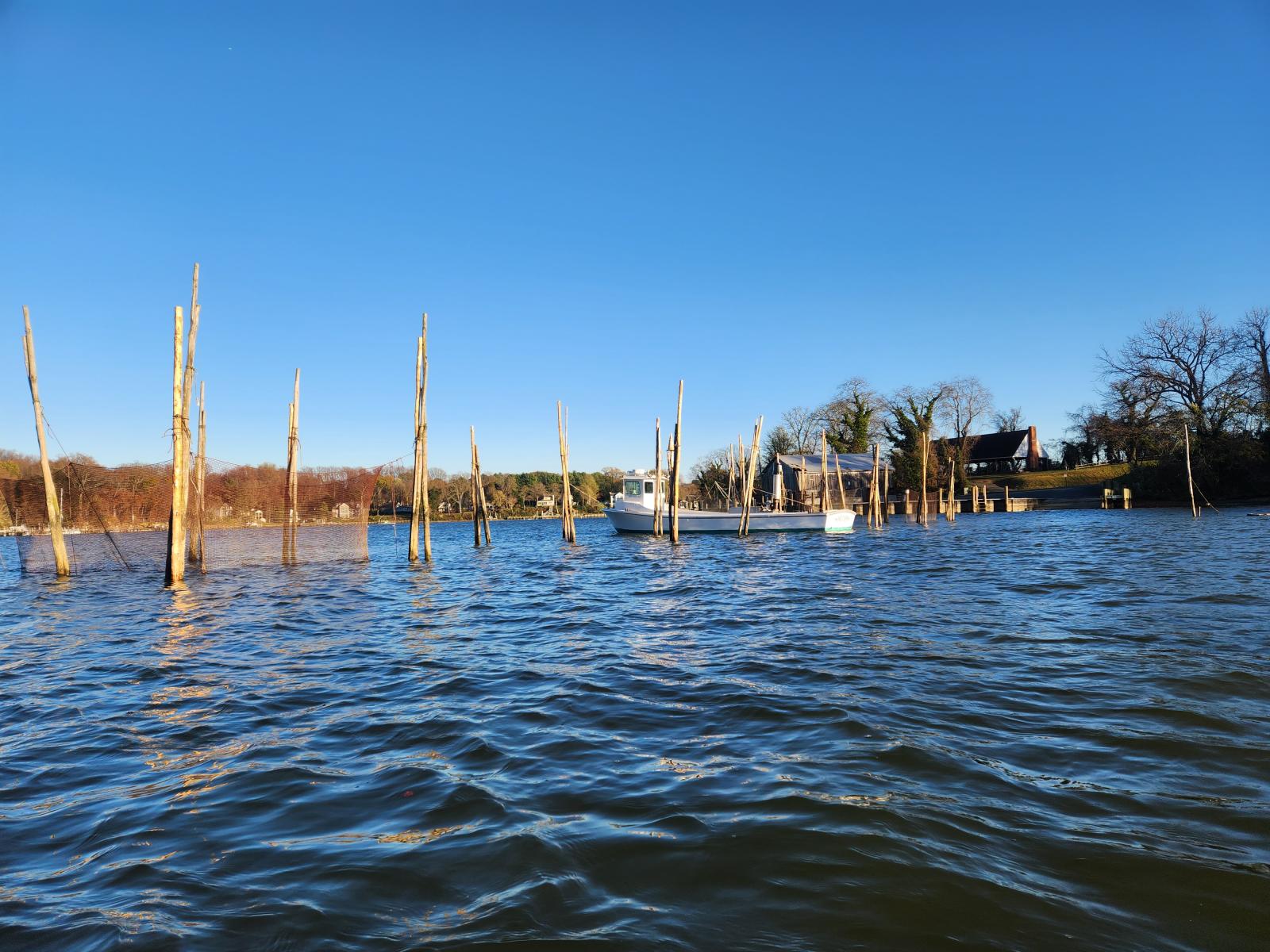 20221120_152431.jpg | SpinSheet