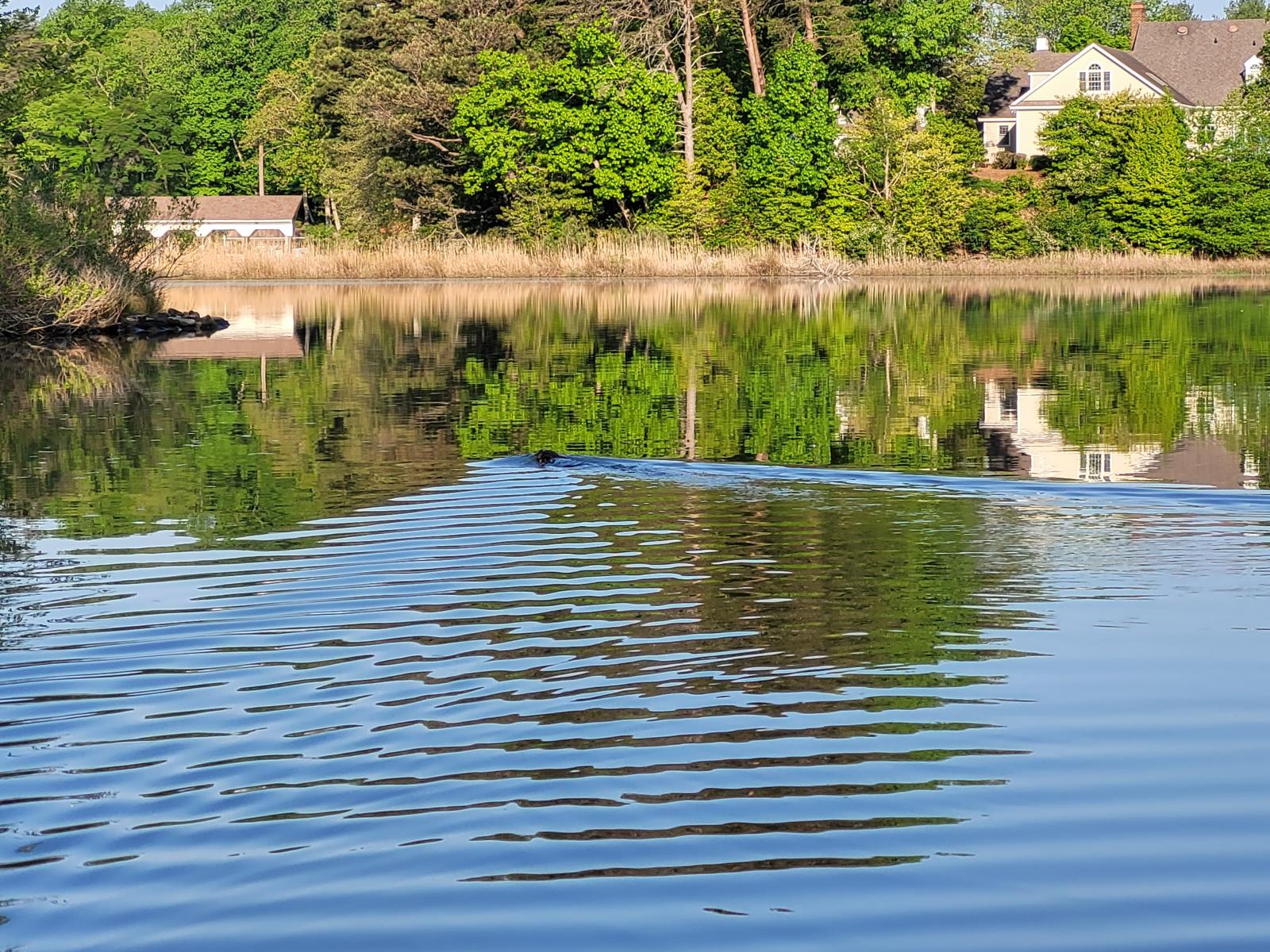 20230426_080409.jpg | SpinSheet