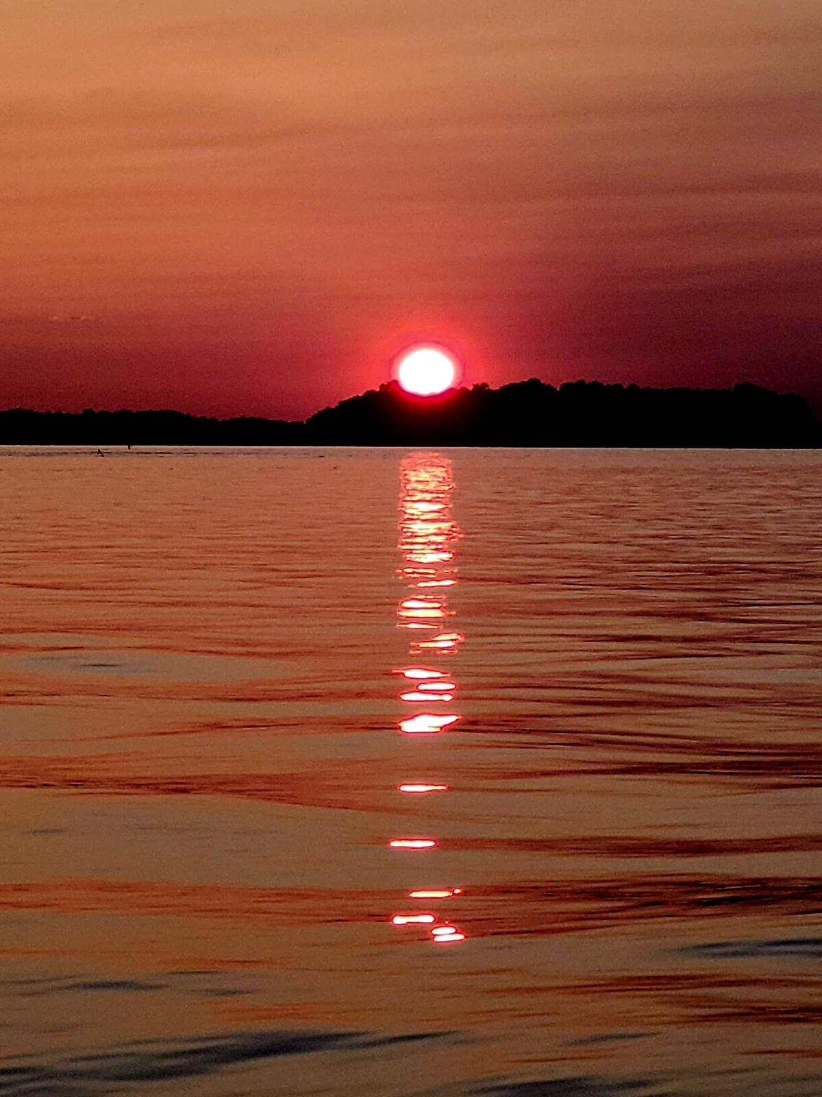 20230731_201111_resized.jpg | SpinSheet