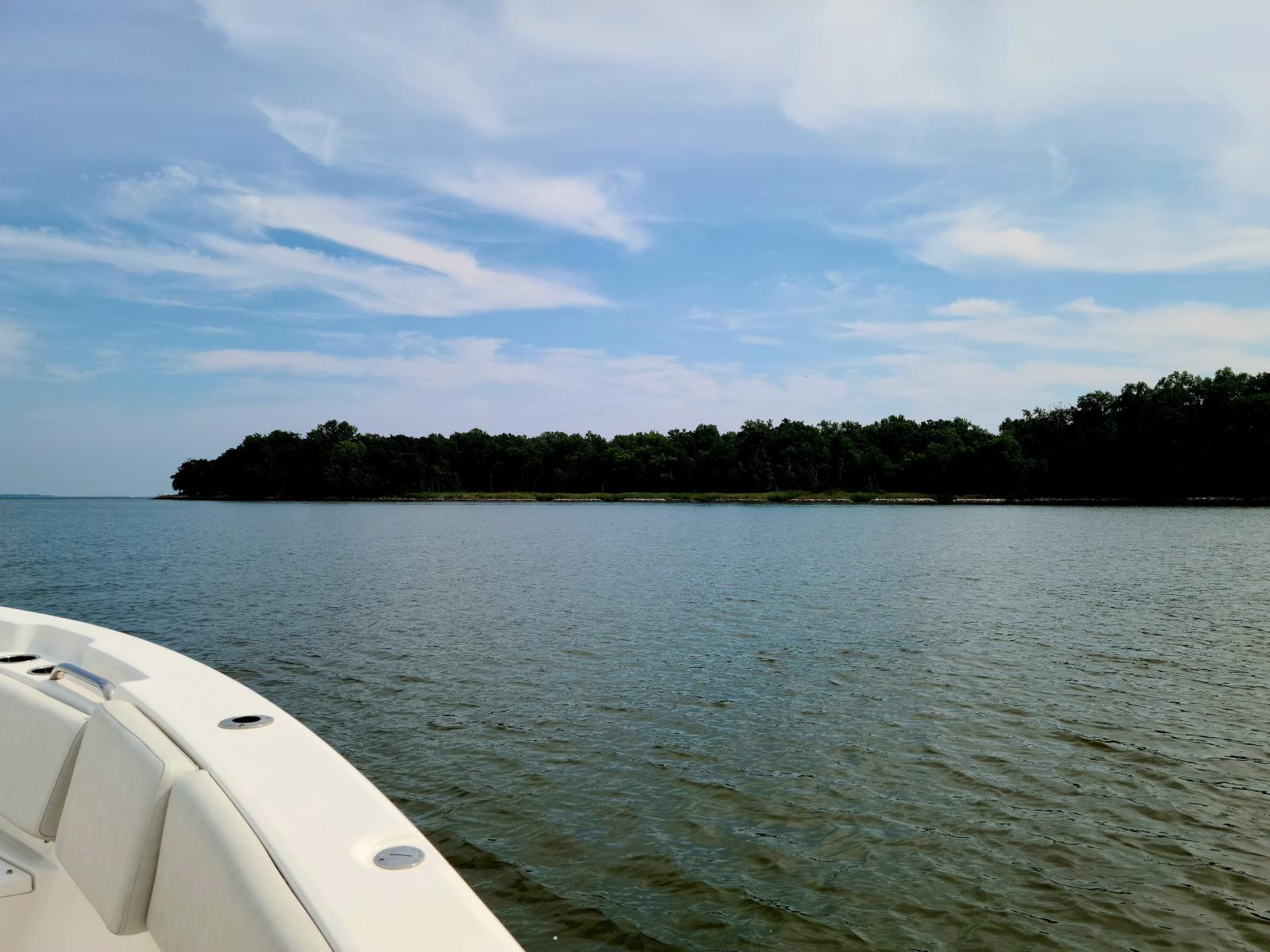 20230811_155331_resized.jpg | SpinSheet