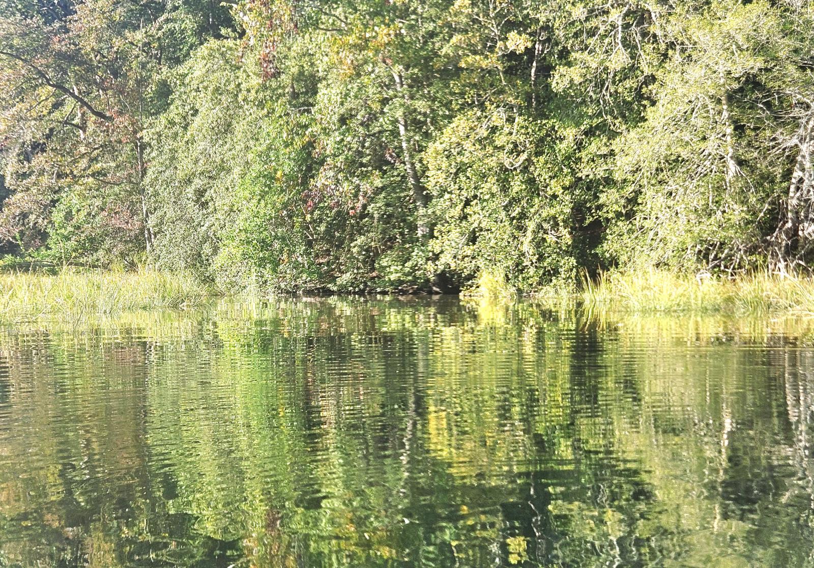 20231001_171235.jpg | SpinSheet