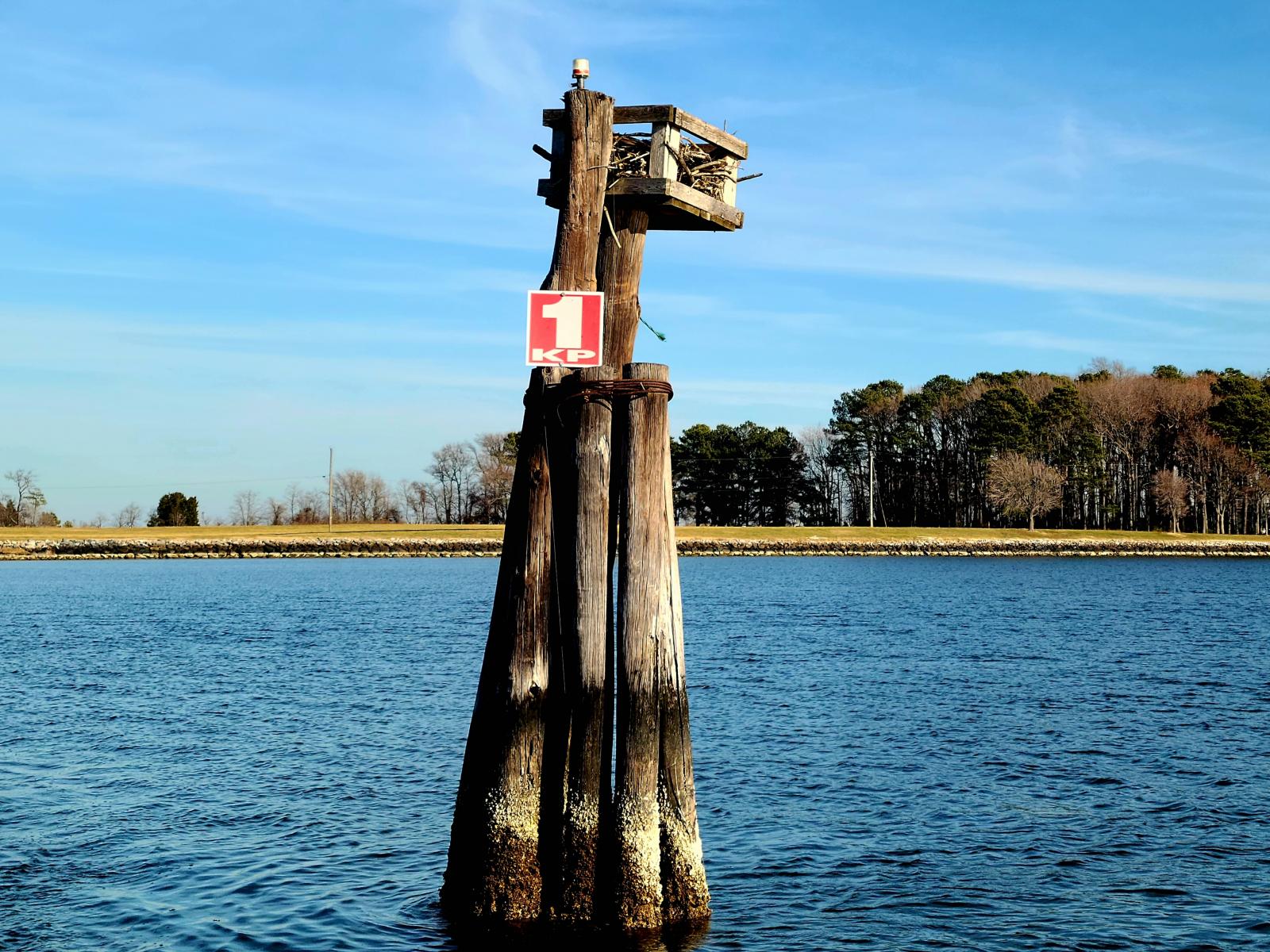 20231216_132221_resized.jpg | SpinSheet