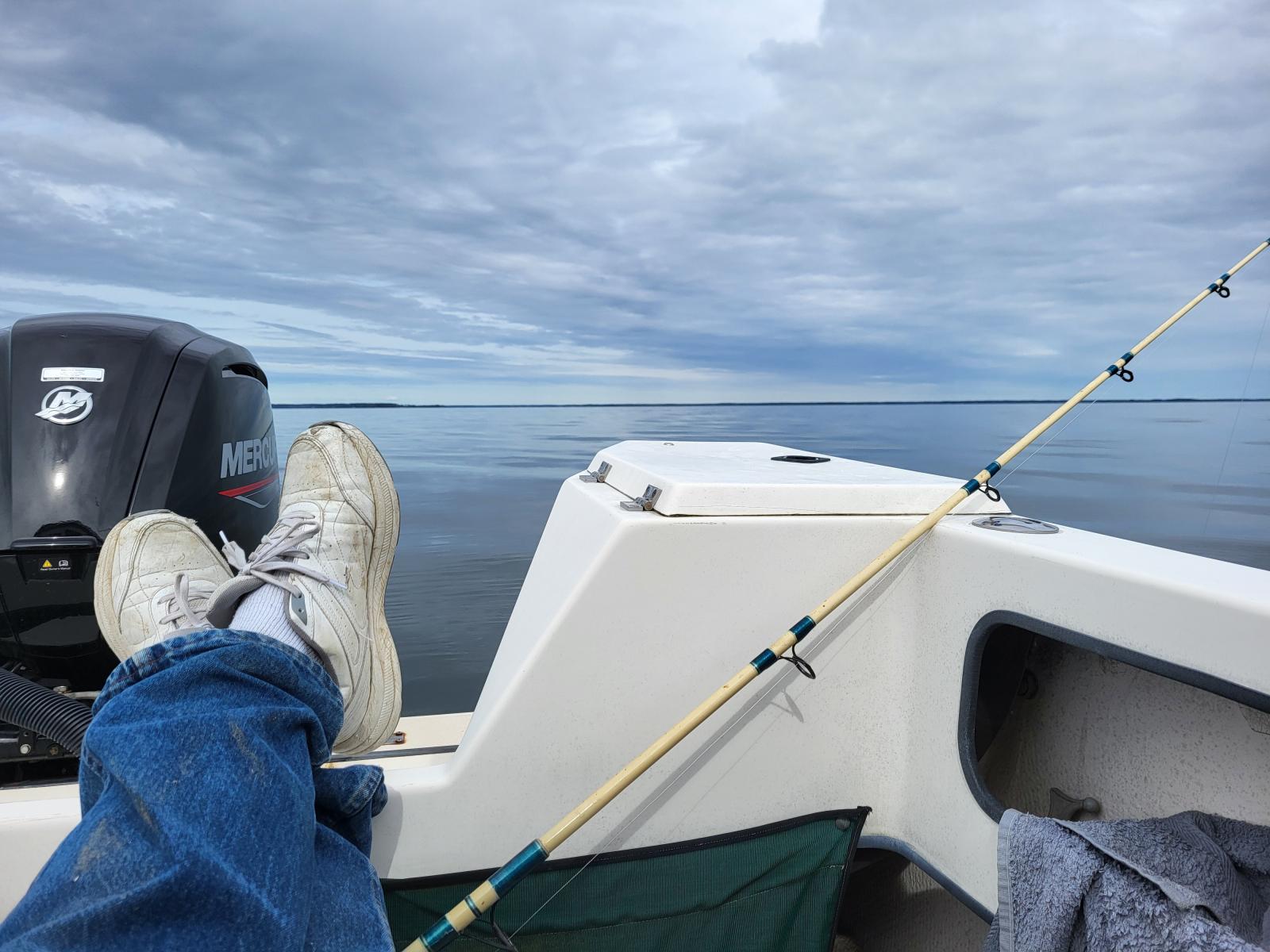 20240304_134741.jpg | SpinSheet