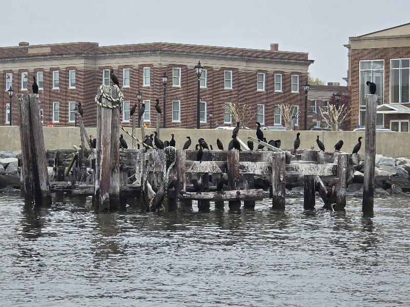 20240402_124833.jpg | SpinSheet