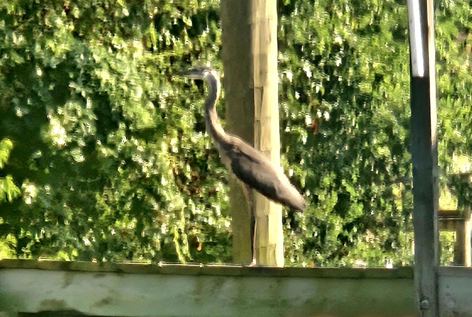 20240618_172457.jpg | SpinSheet