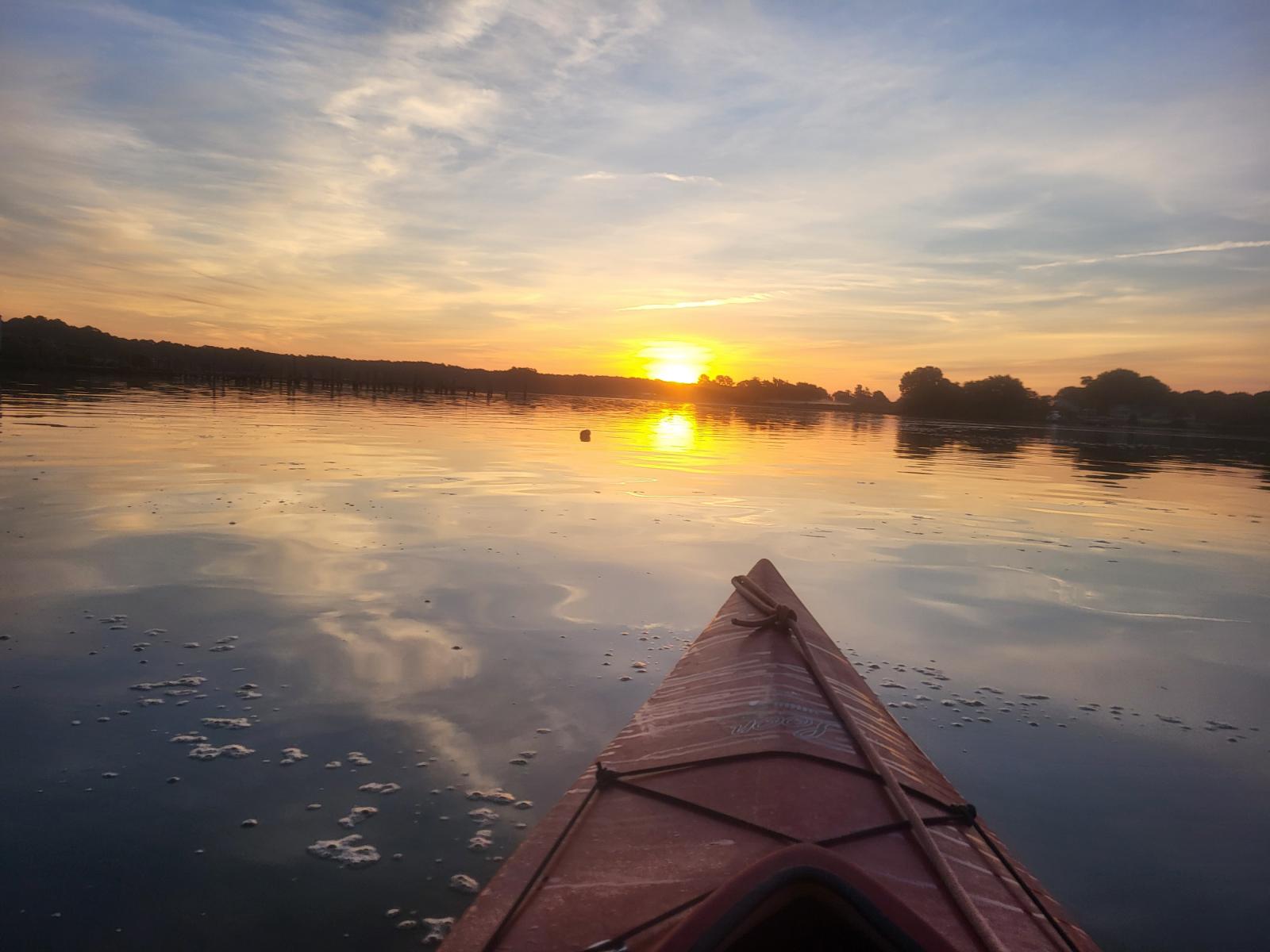 20240619_055006.jpg | SpinSheet