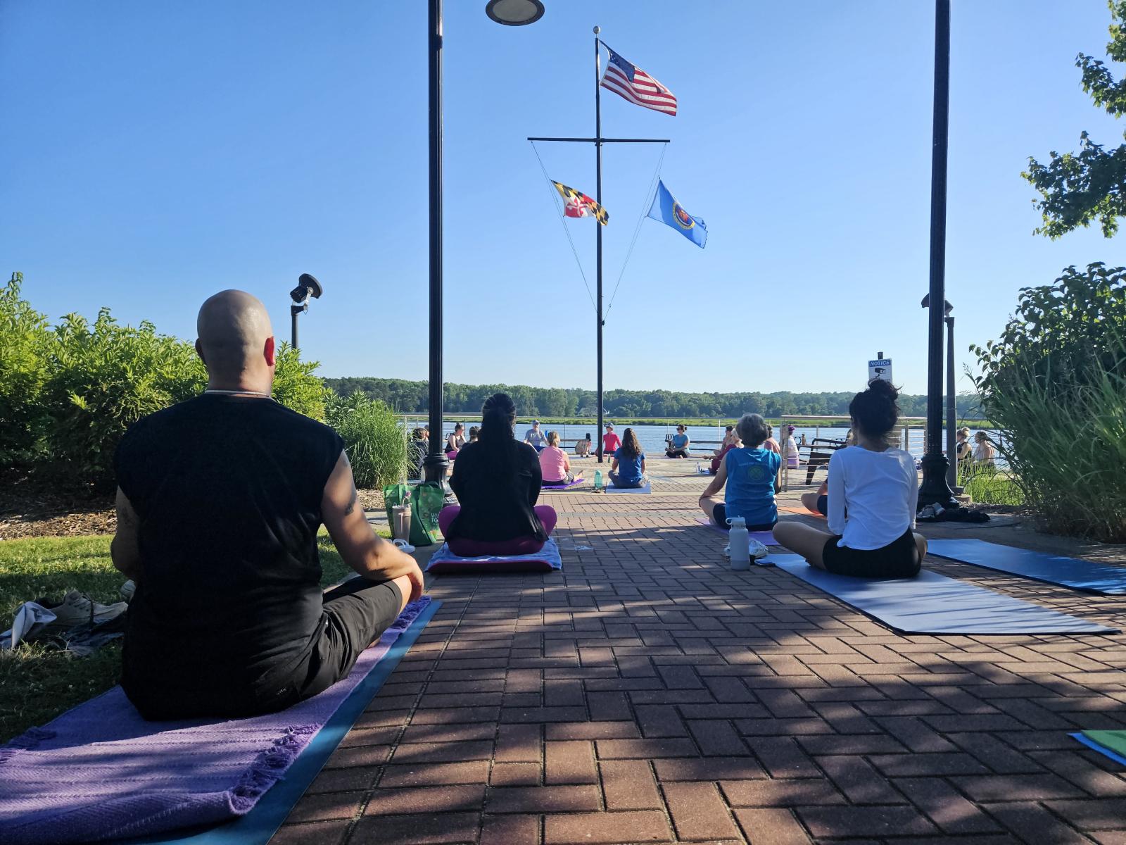 20240621_180352.jpg | SpinSheet