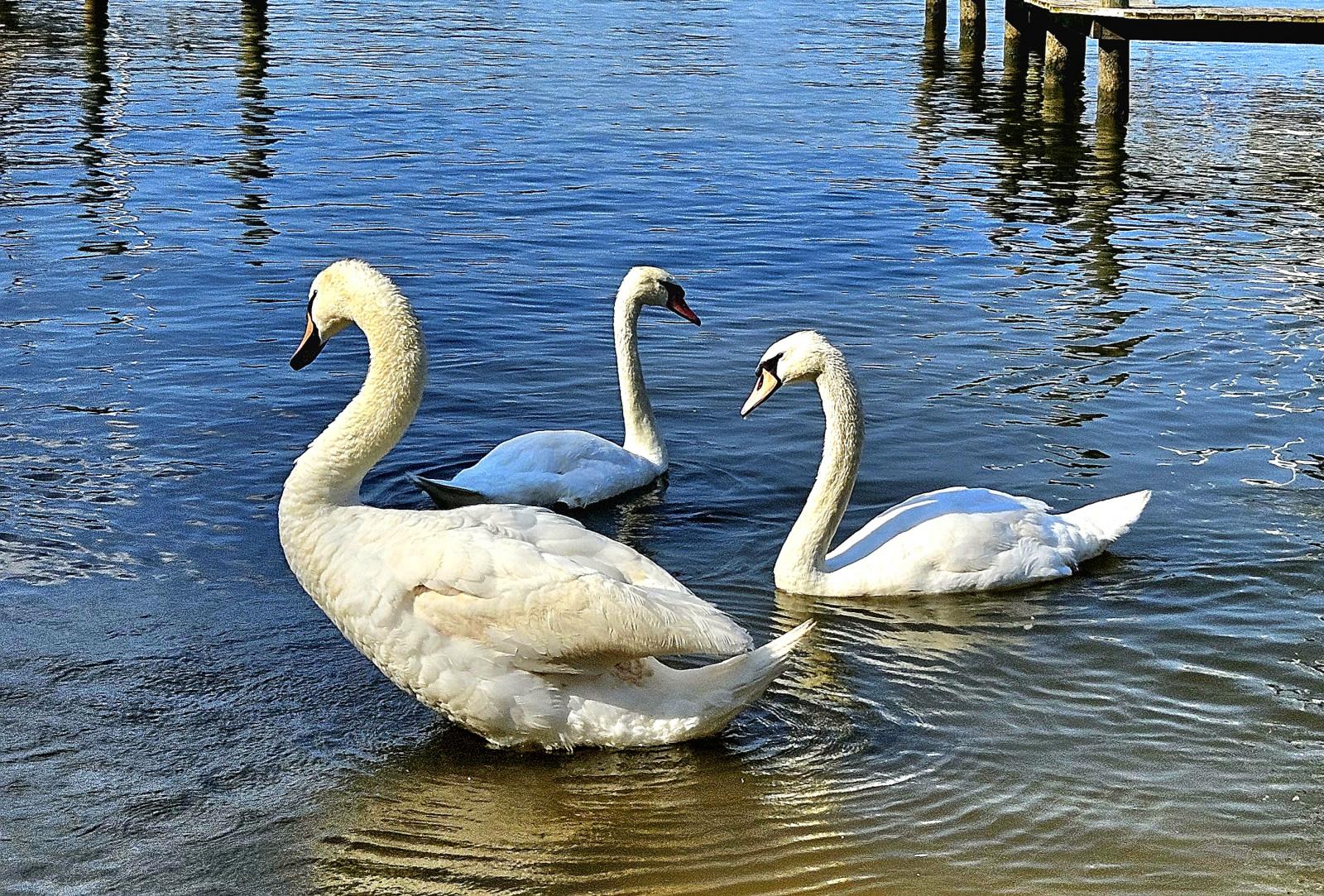 20240622_170837.jpg | SpinSheet