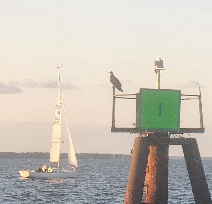 20240822_133841.jpg | SpinSheet