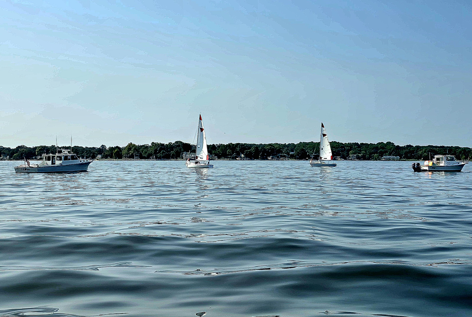 20240825_103058_resized.jpg | SpinSheet