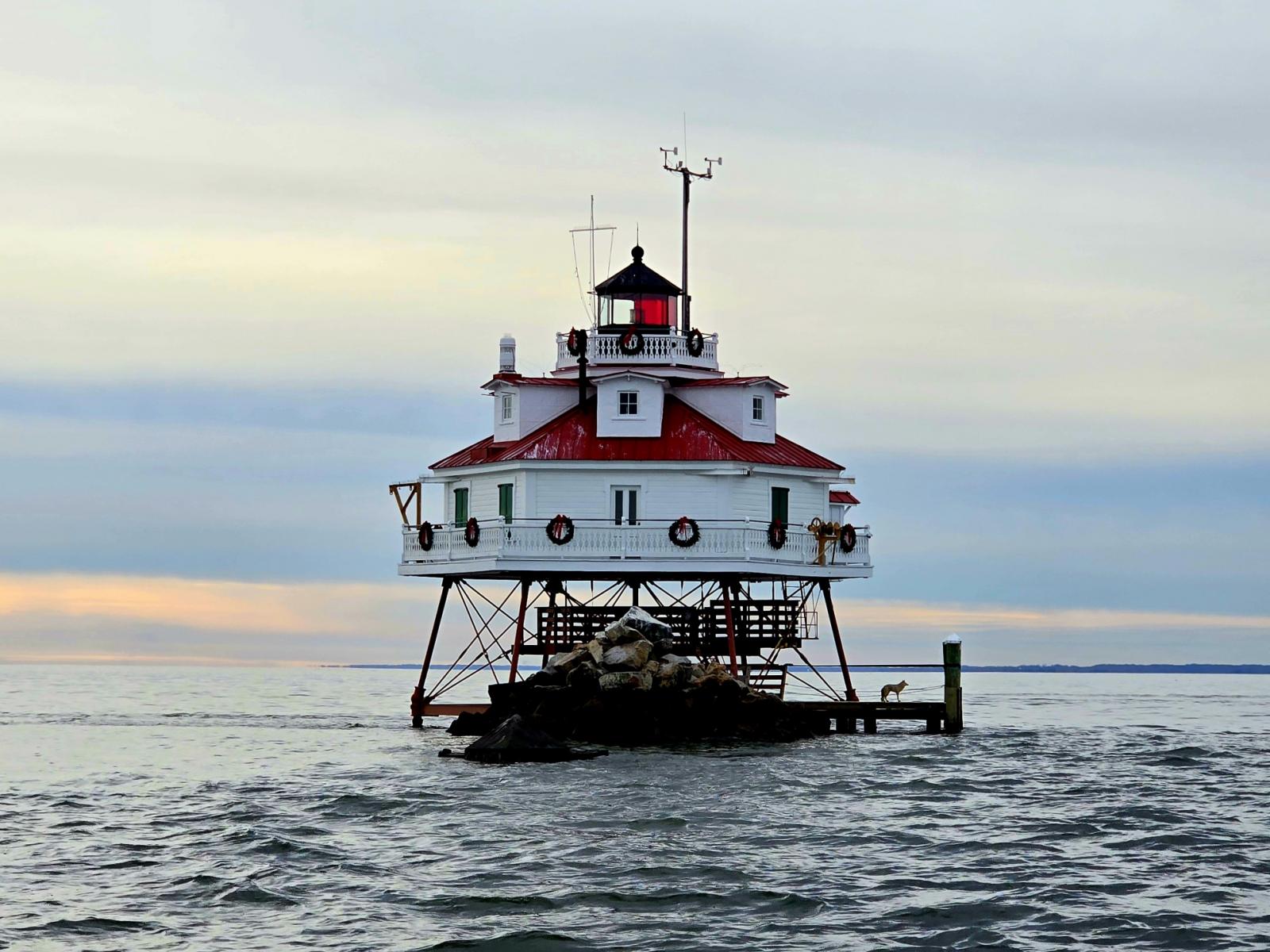 20241127_115113_resized.jpg | SpinSheet