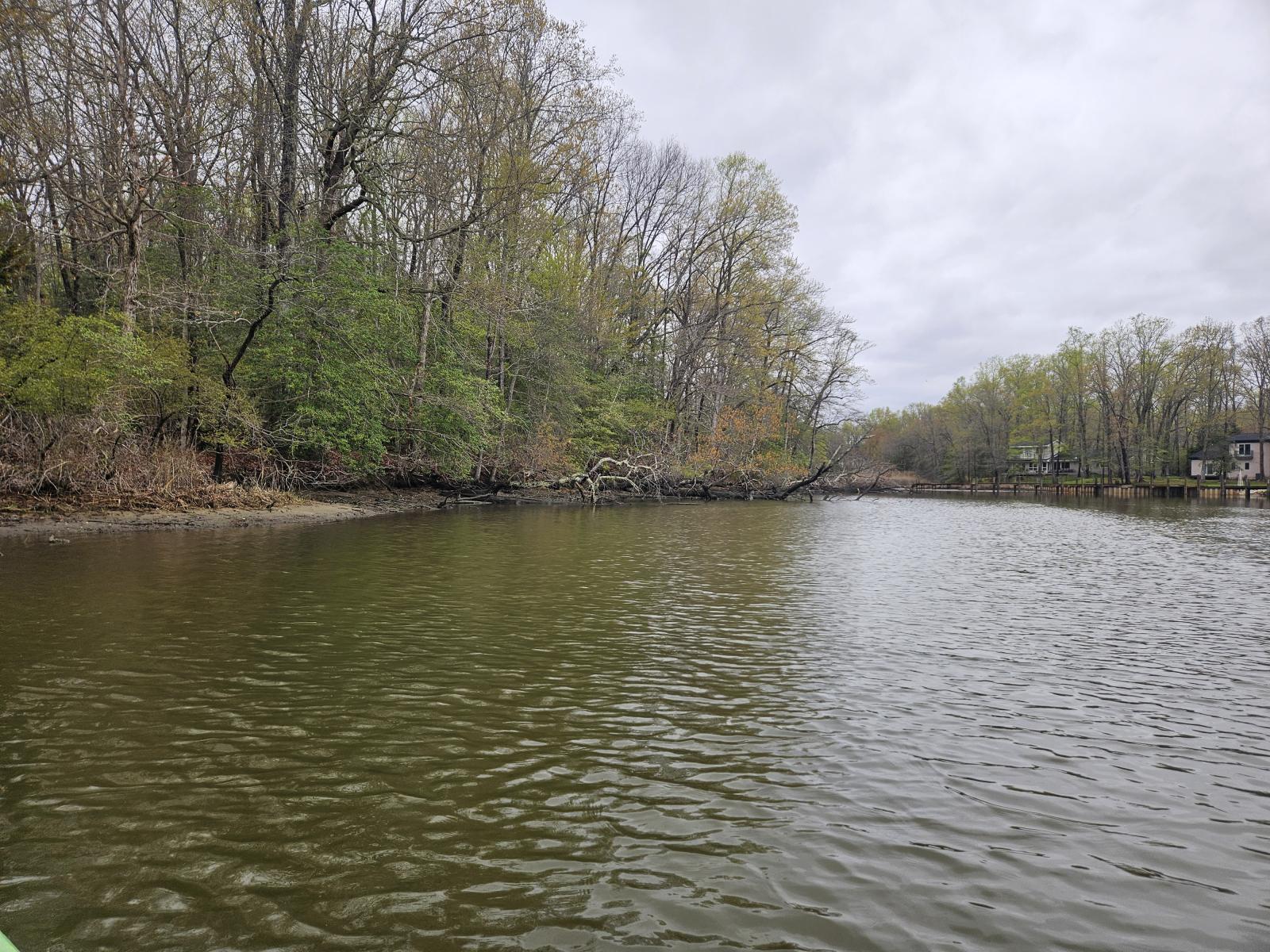 20250412_112806.jpg | SpinSheet