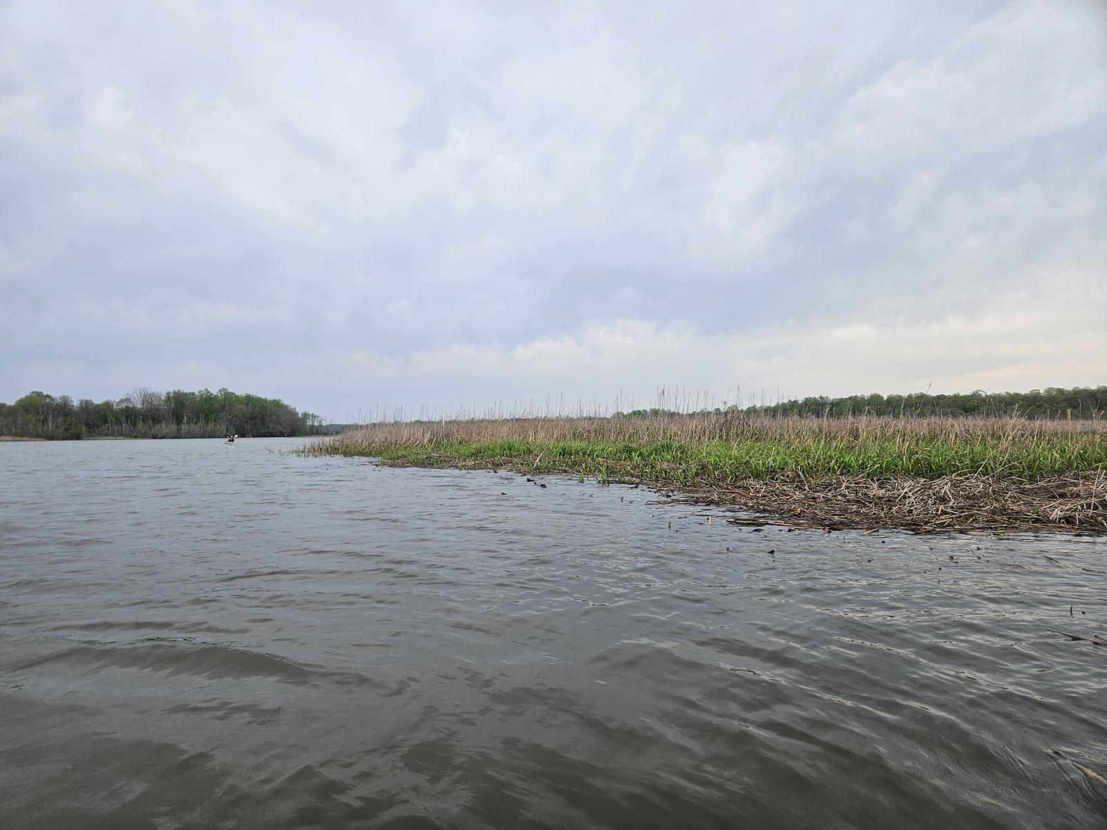 20250419_081945.jpg | SpinSheet