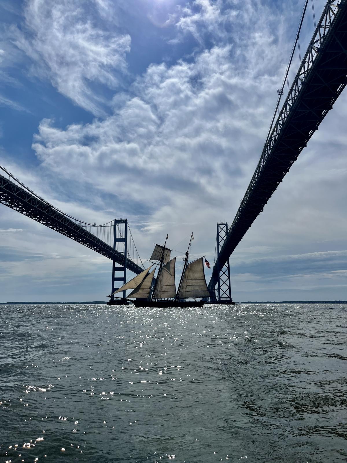 3D1B0457-1D0B-4F77-B5B2-F398C35BD06F.jpeg | SpinSheet