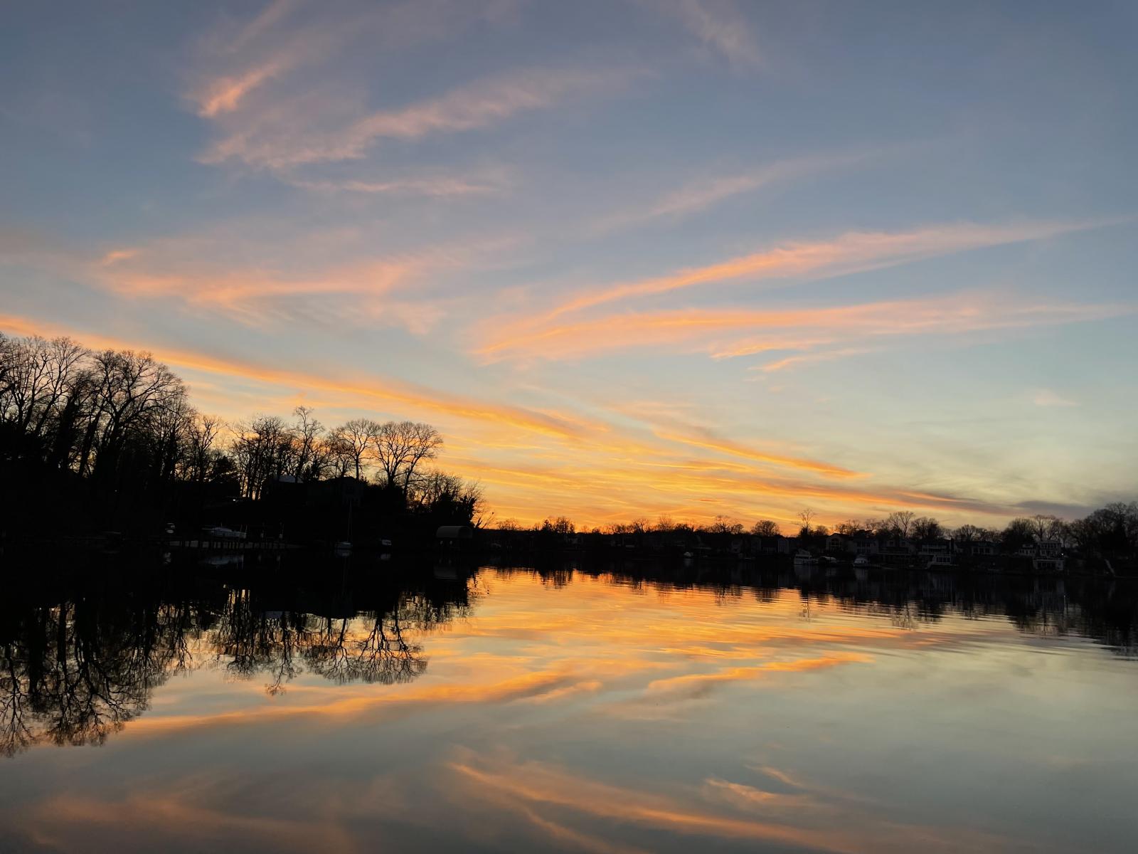 7510EDF7-8300-48B4-BF4B-B87F368515FB.jpeg | SpinSheet