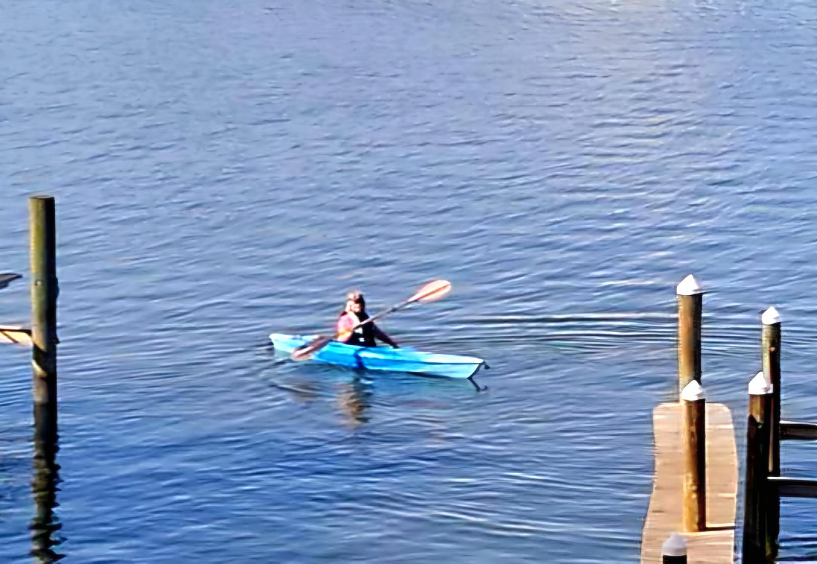 9059783675956701089.jpg | SpinSheet