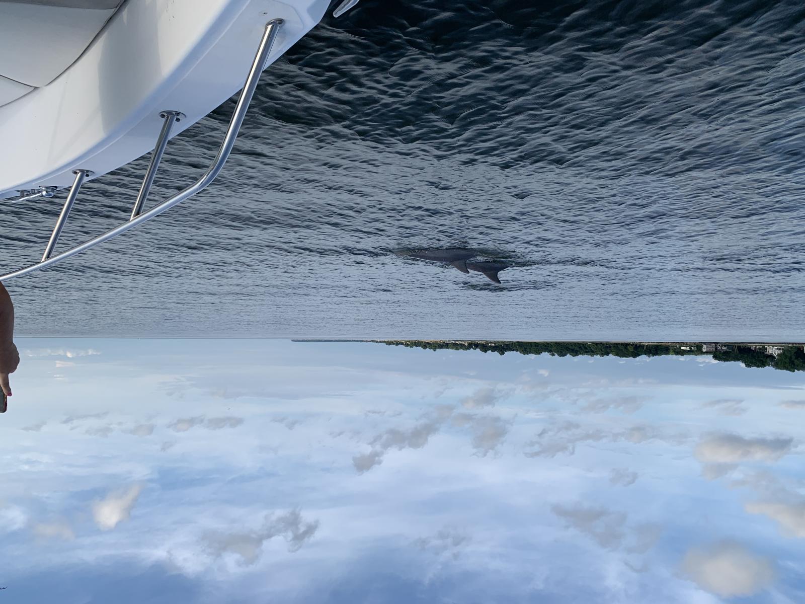 92E048D4-697A-4EF5-ACC2-10BDFCB349E8.jpeg | SpinSheet