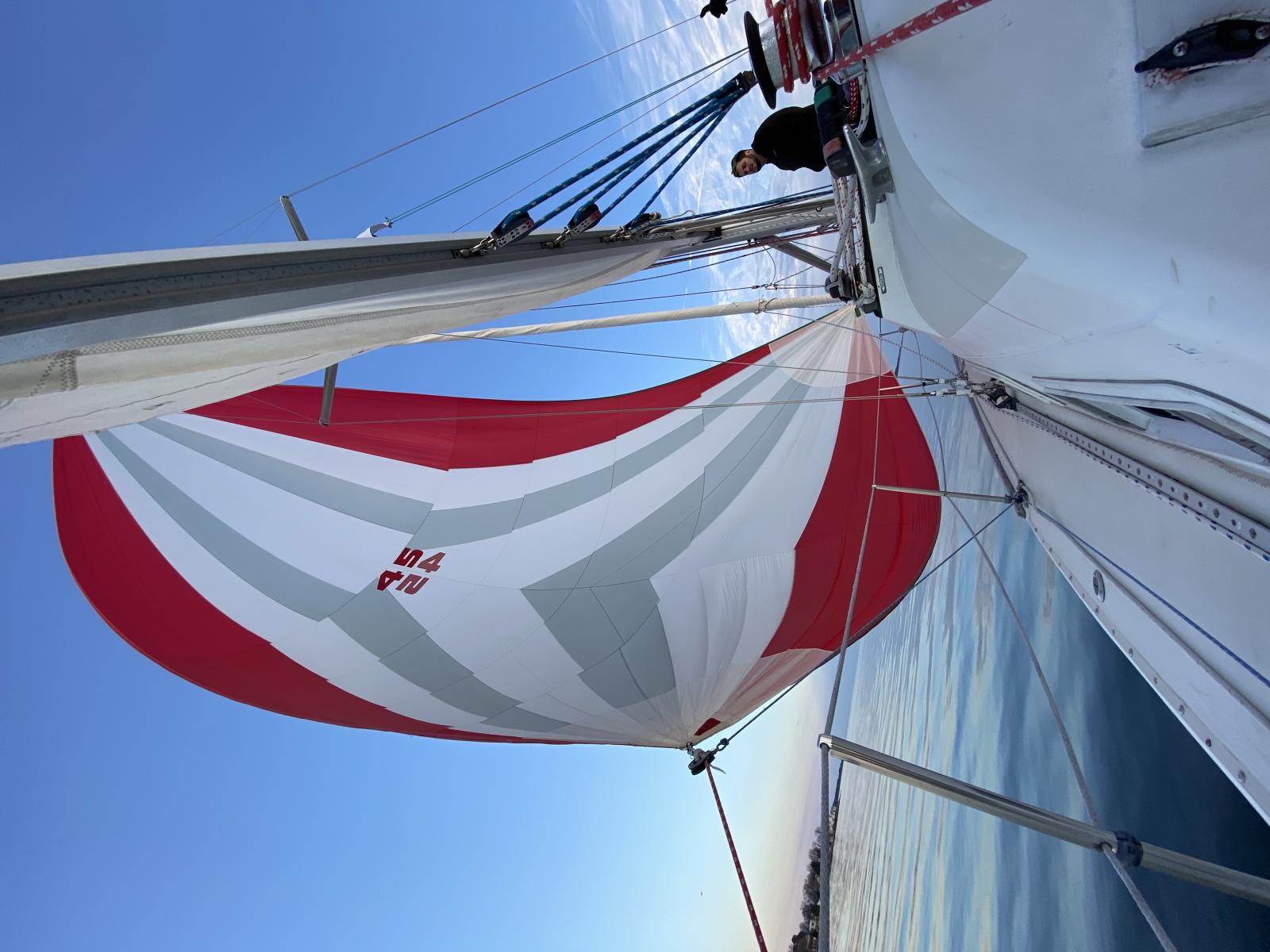 AAAEA9BB-0BF7-4F61-BEBF-132E741C33E7.jpeg | SpinSheet