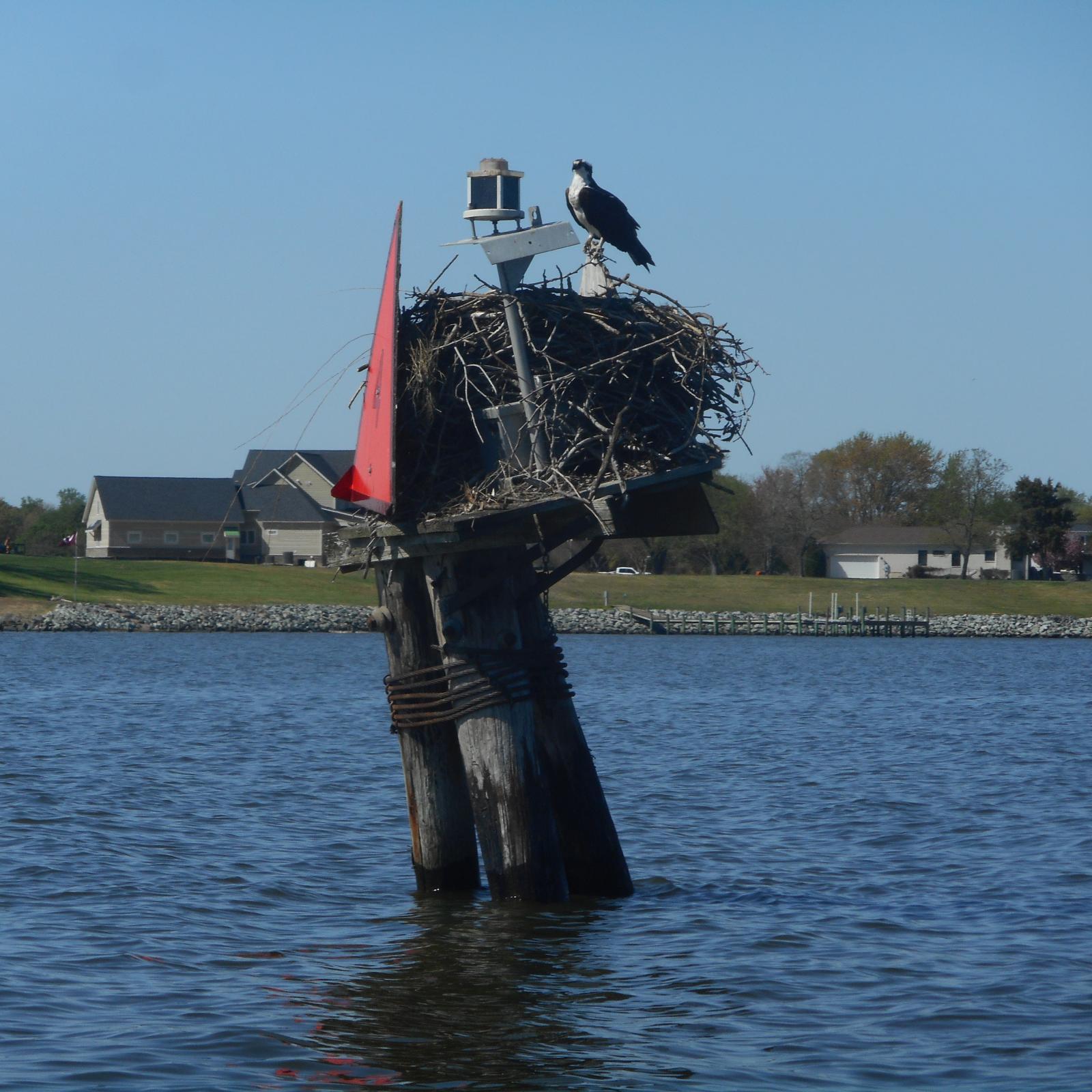 DSCN3876.JPG | SpinSheet