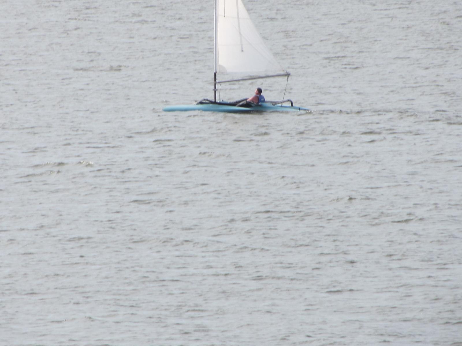 Eagle Sailboat at Joel Donovan blog