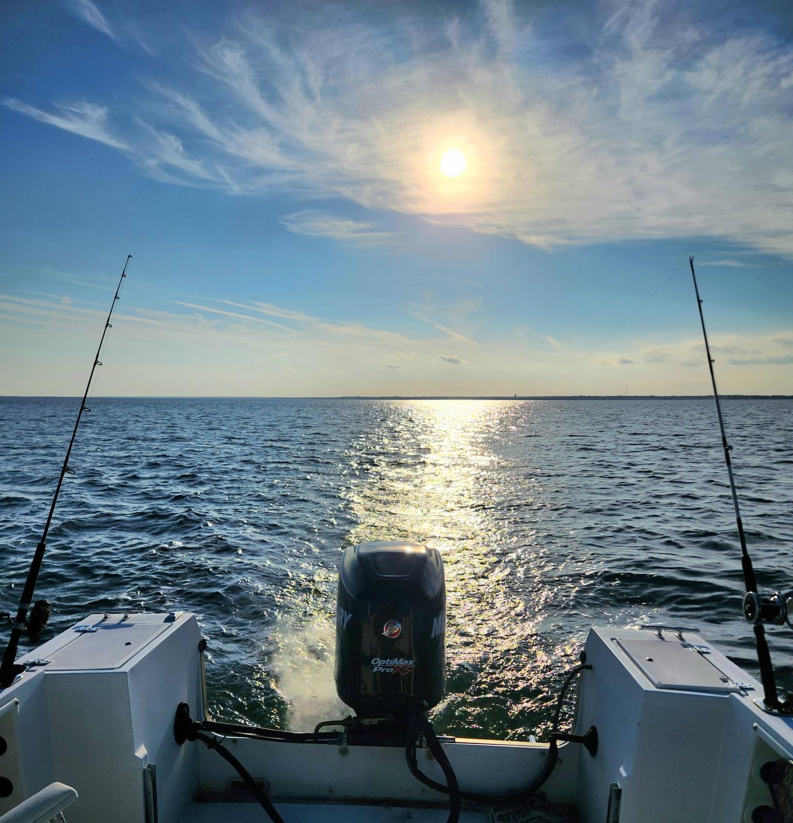 Fish12.jpg | SpinSheet