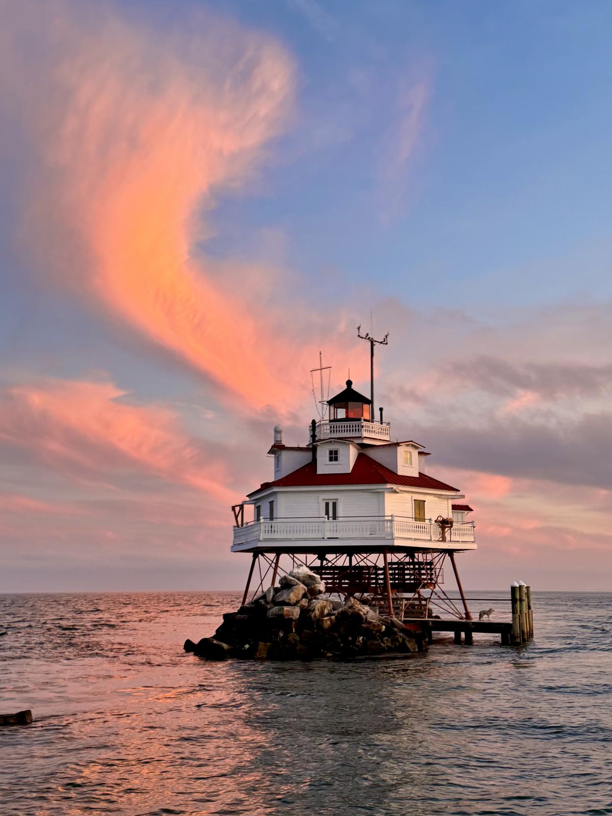 IMG_0008.jpeg | SpinSheet