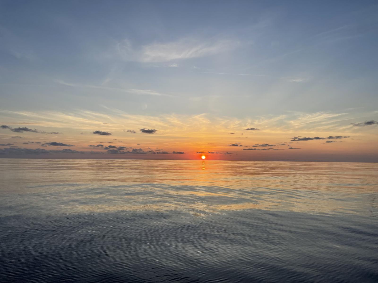 IMG_0237.jpeg | SpinSheet