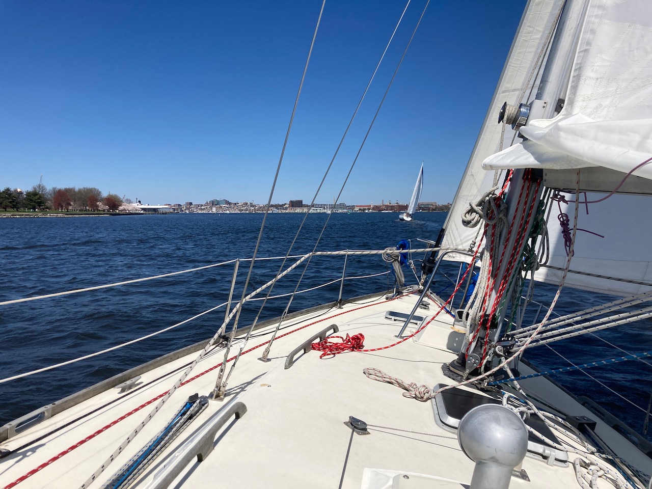 IMG_0664.jpeg | SpinSheet