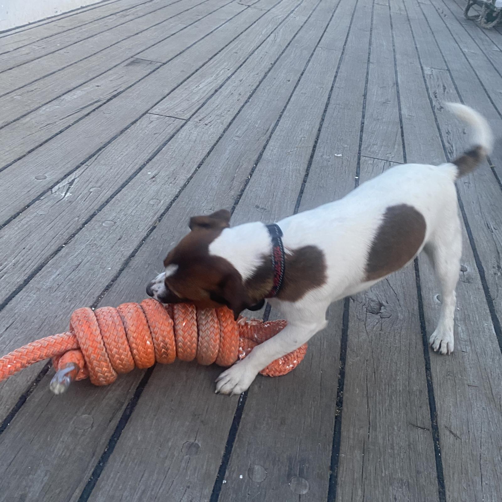 IMG_0835.jpeg | SpinSheet