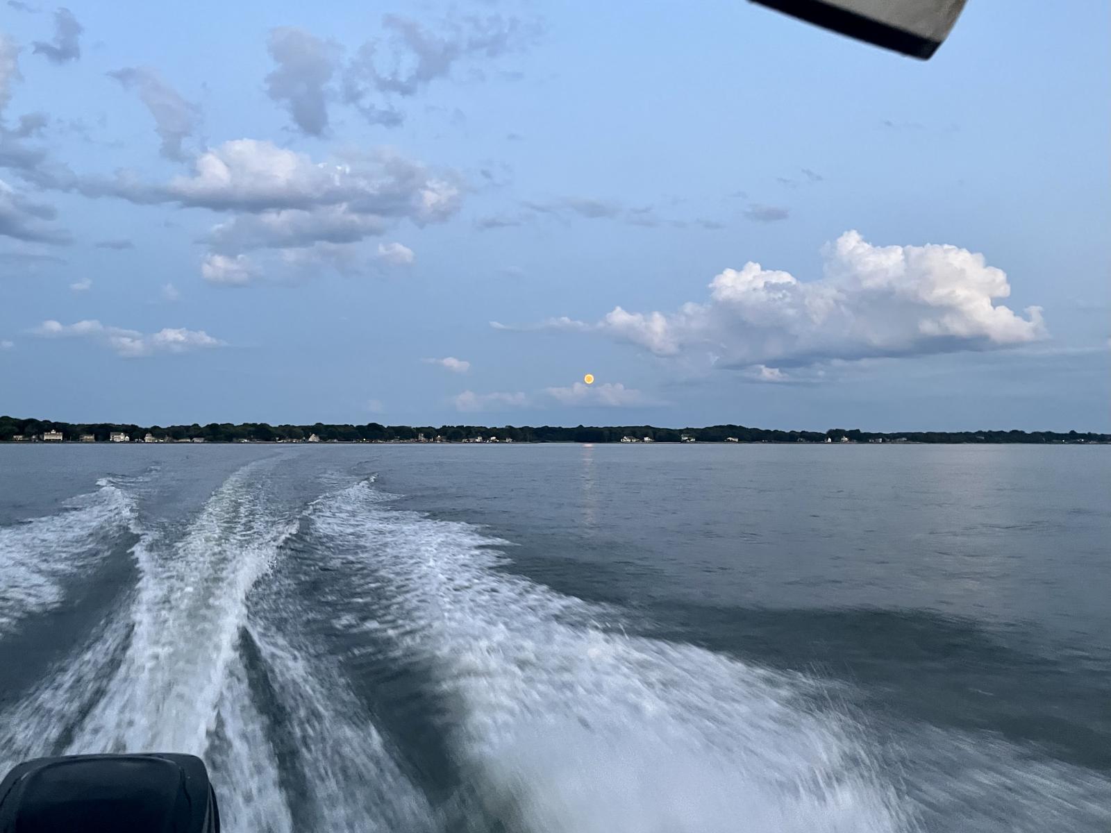 Img 0857 Jpeg Spinsheet