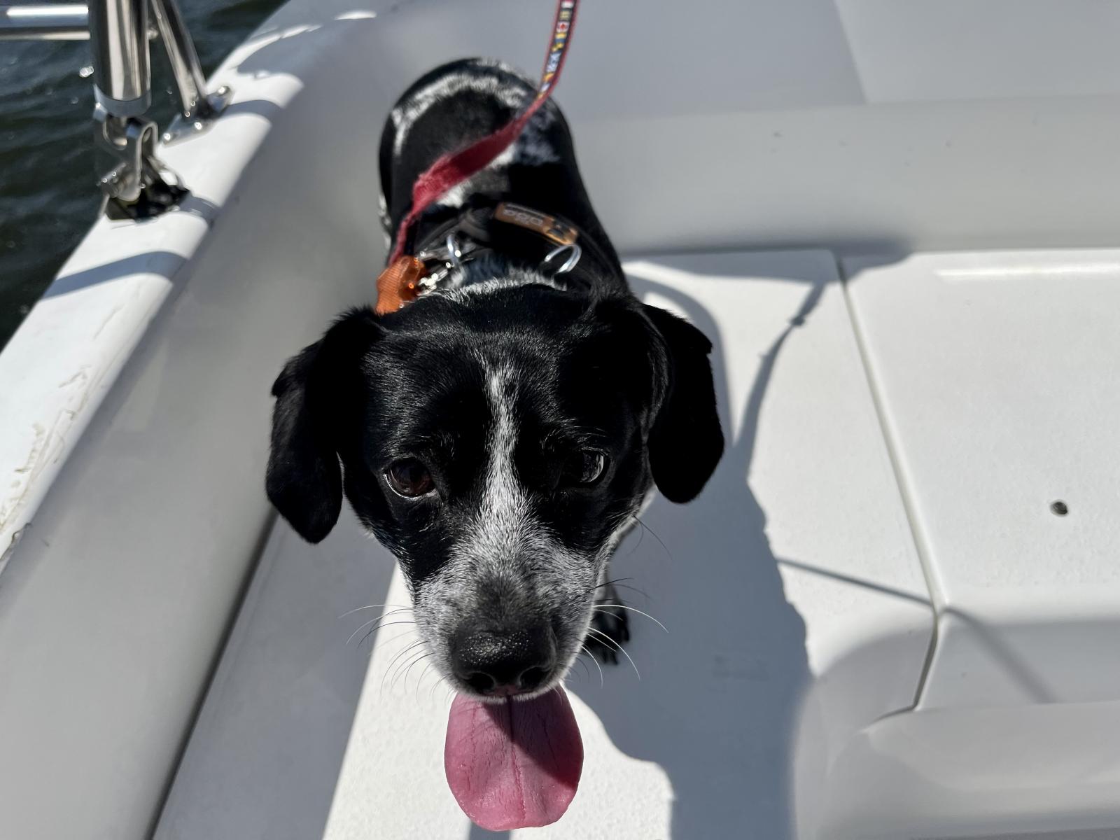 IMG_0922.jpeg | SpinSheet