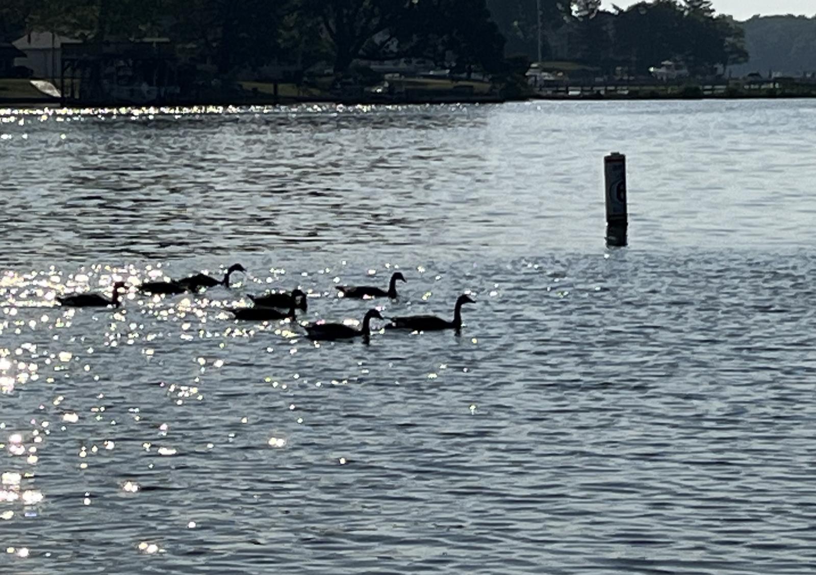 IMG_1104.jpeg | SpinSheet