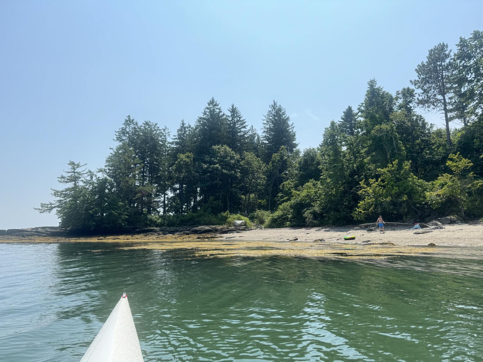 Img 1156 Jpeg Spinsheet