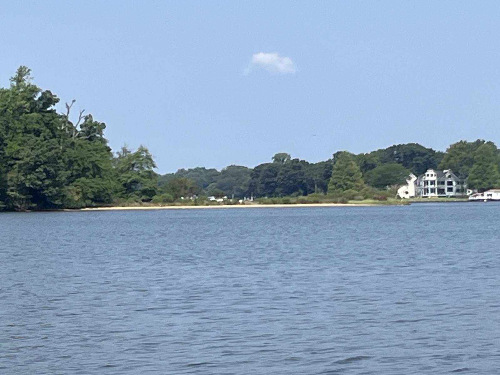 IMG_1414.jpeg | SpinSheet