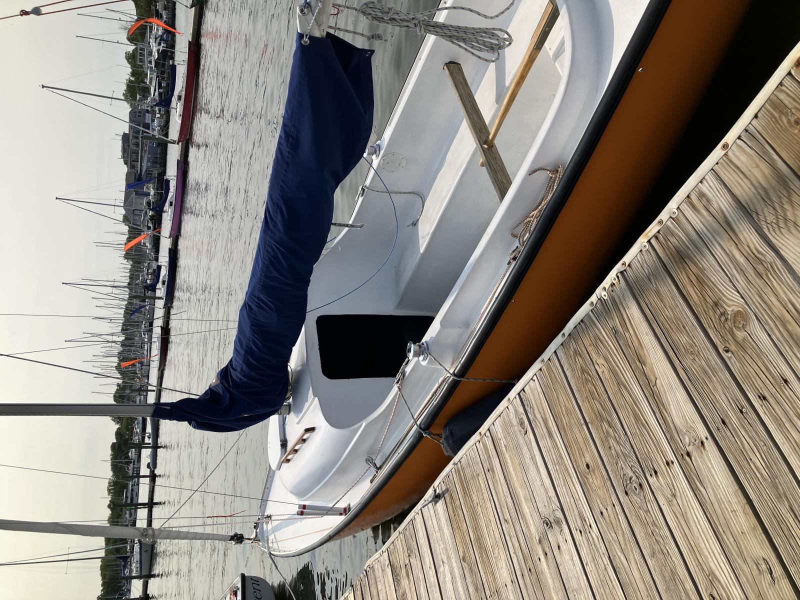 IMG_1433.jpg | SpinSheet