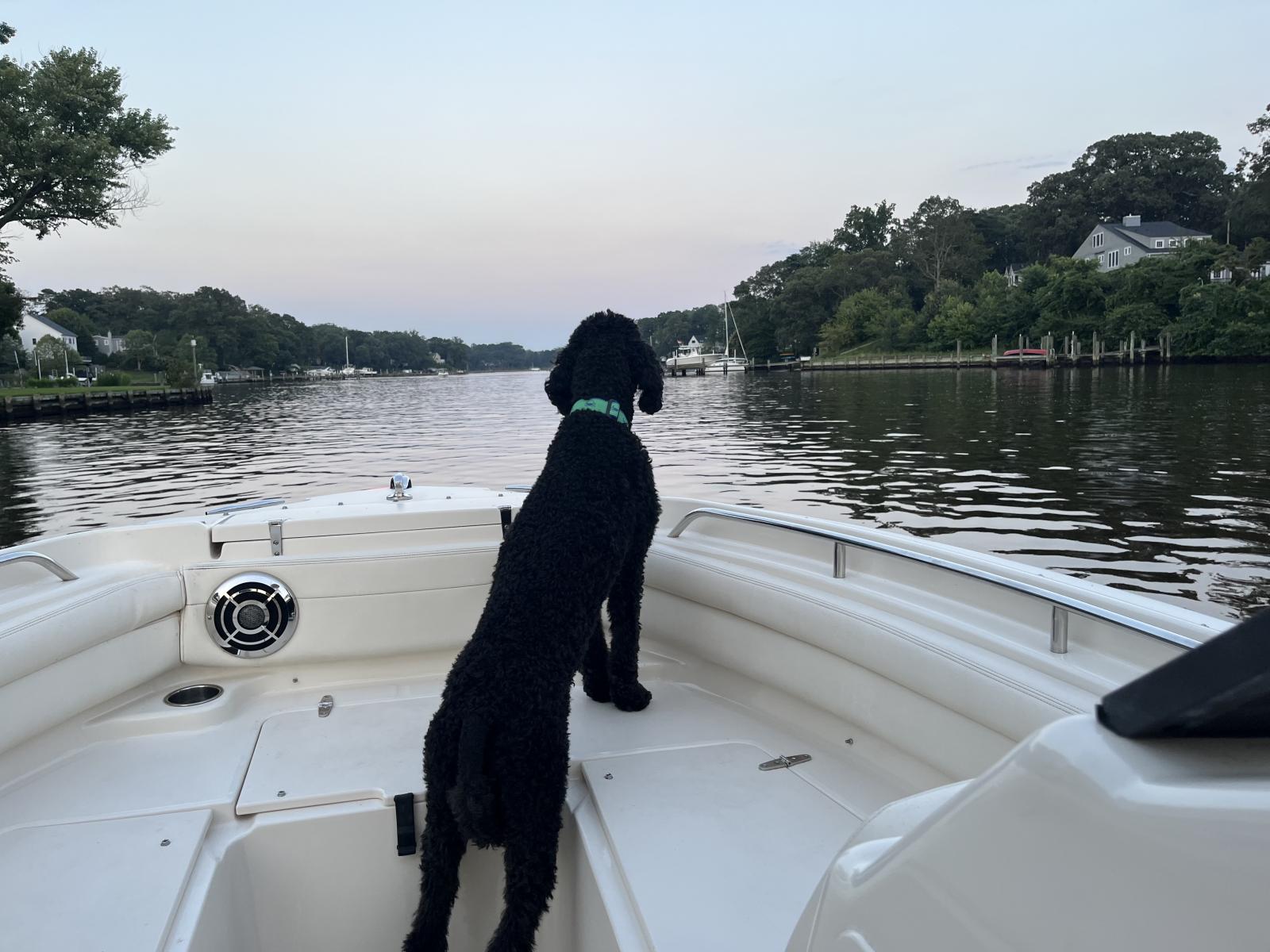 IMG_1564.jpeg | SpinSheet