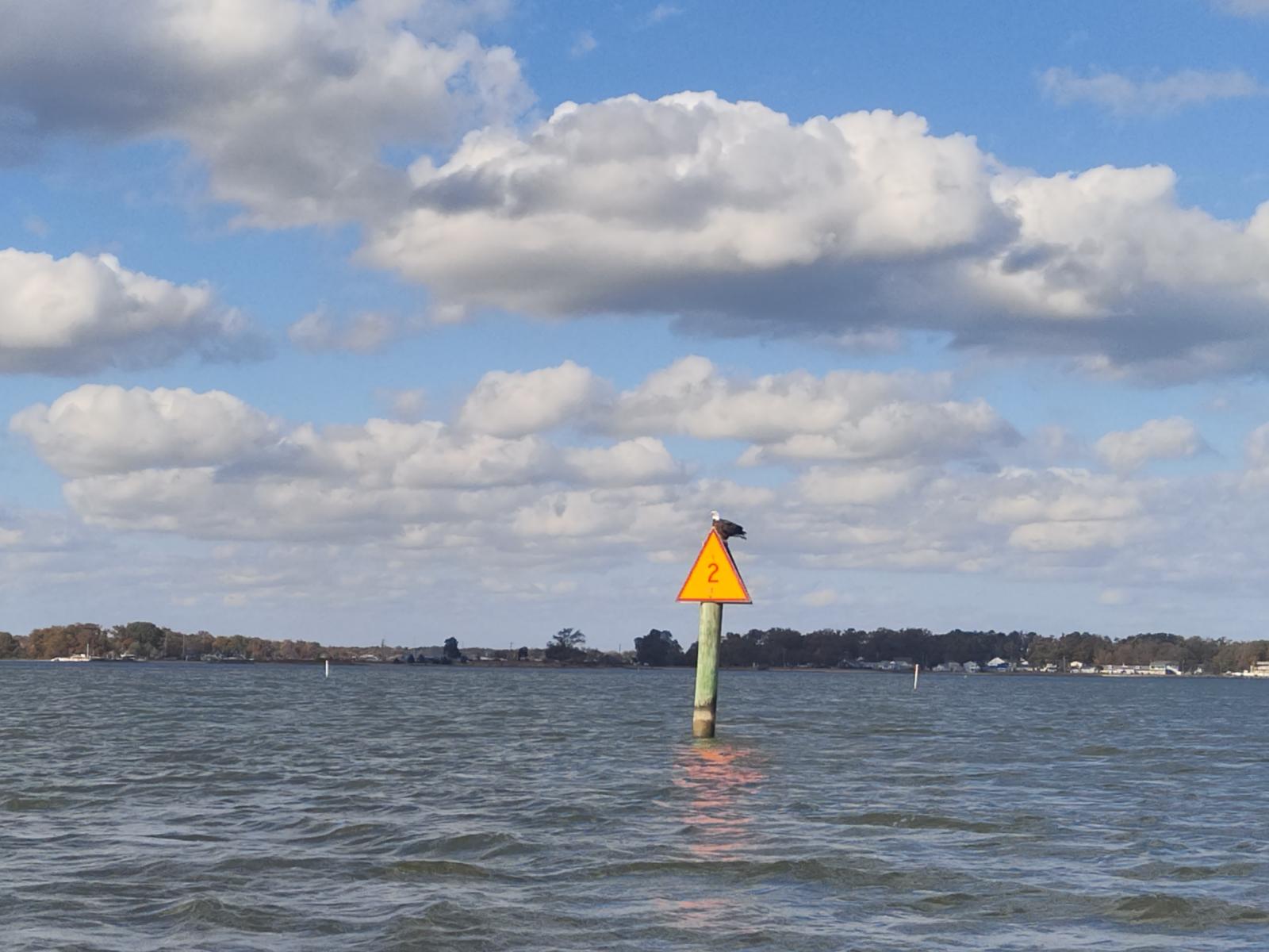 IMG_20241105_134928.jpg | SpinSheet