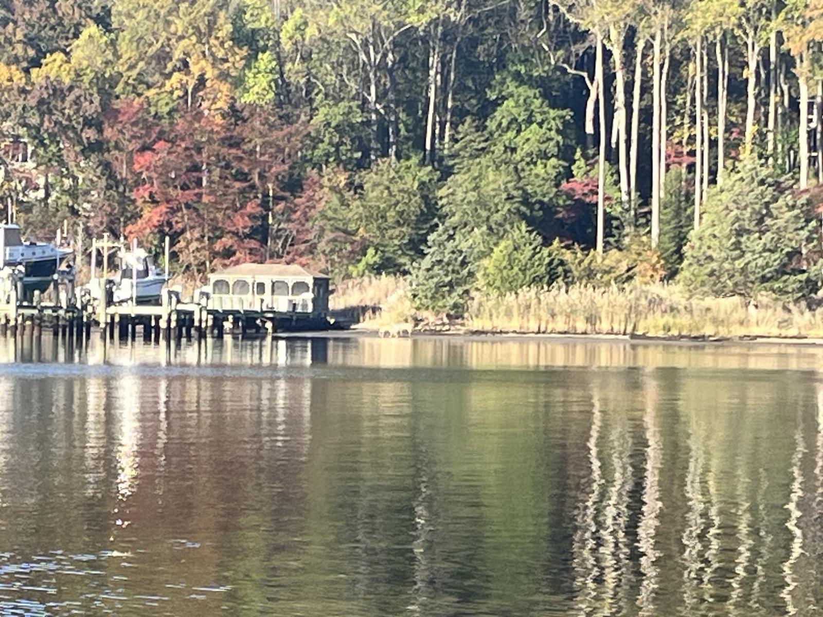 IMG_2100.jpeg | SpinSheet