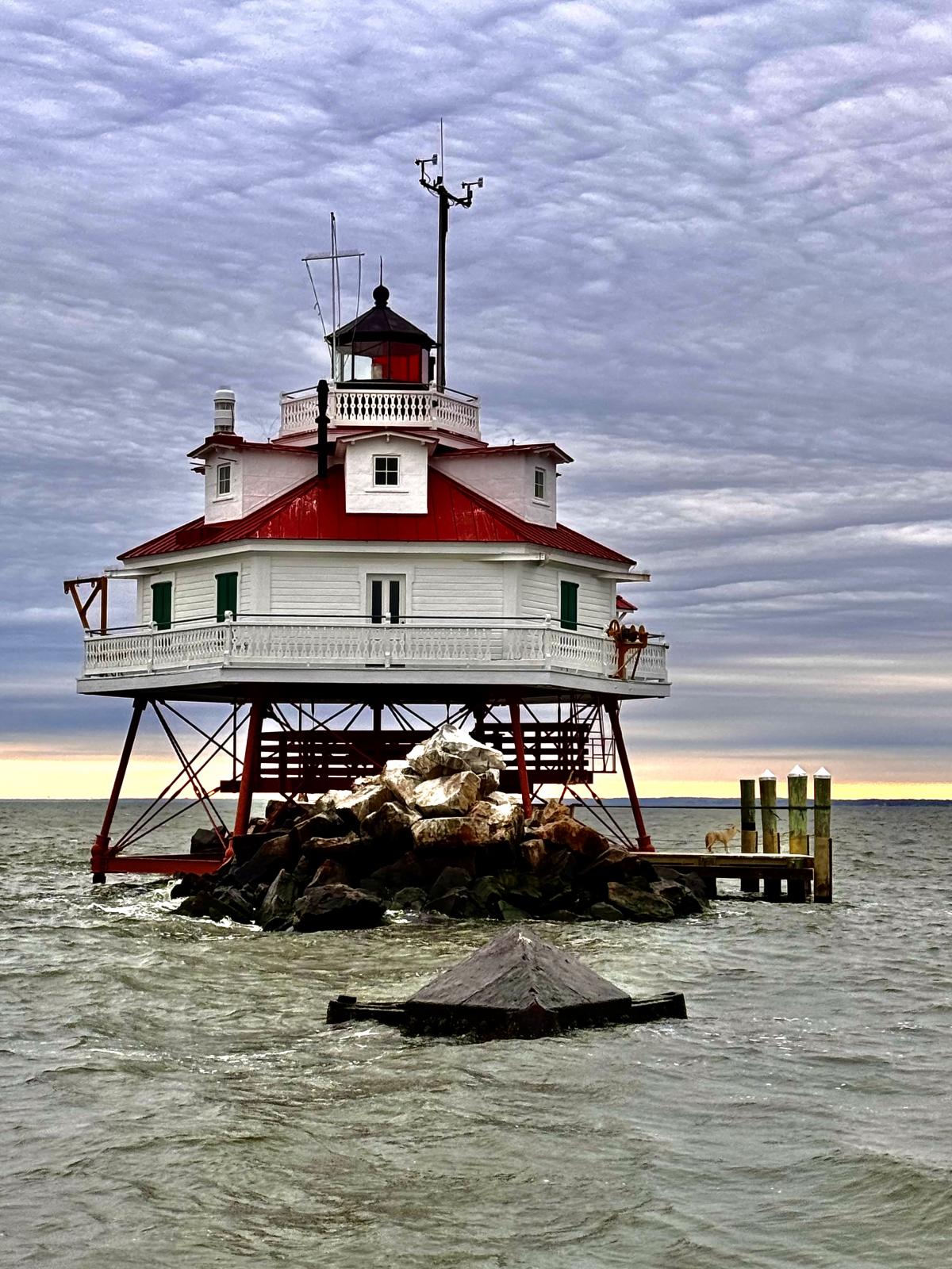 IMG_2910.jpeg | SpinSheet