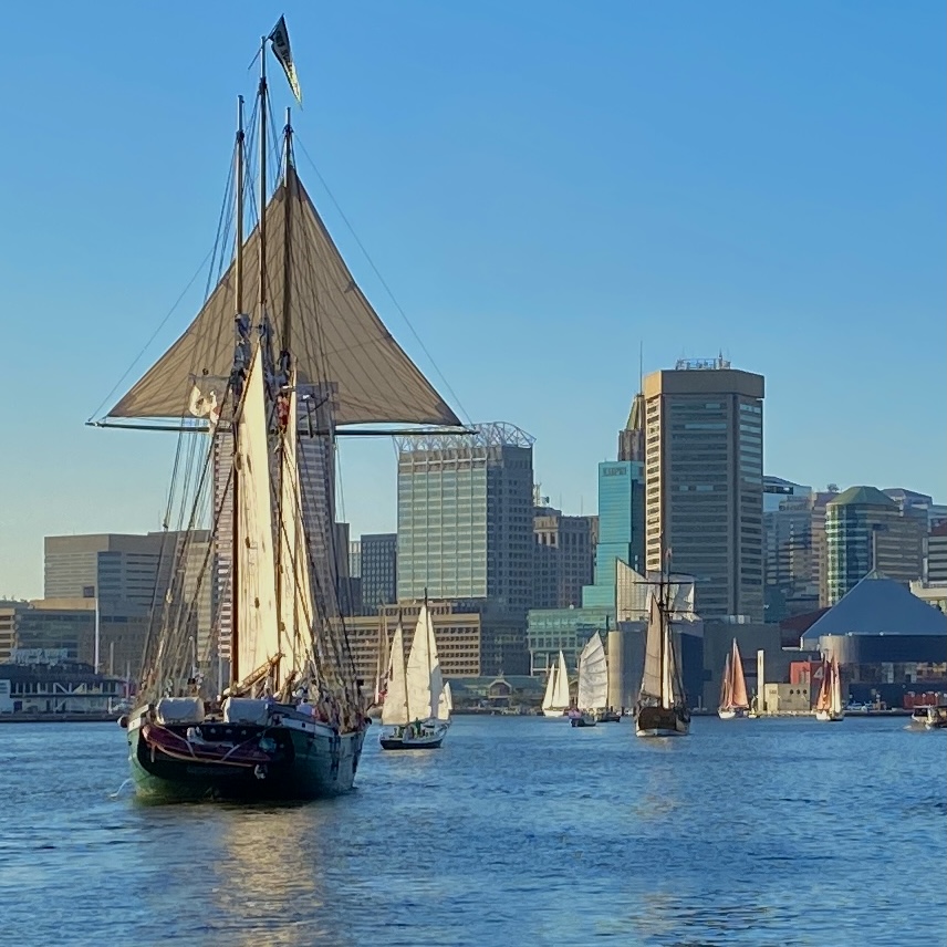 Img 2959 Jpeg Spinsheet