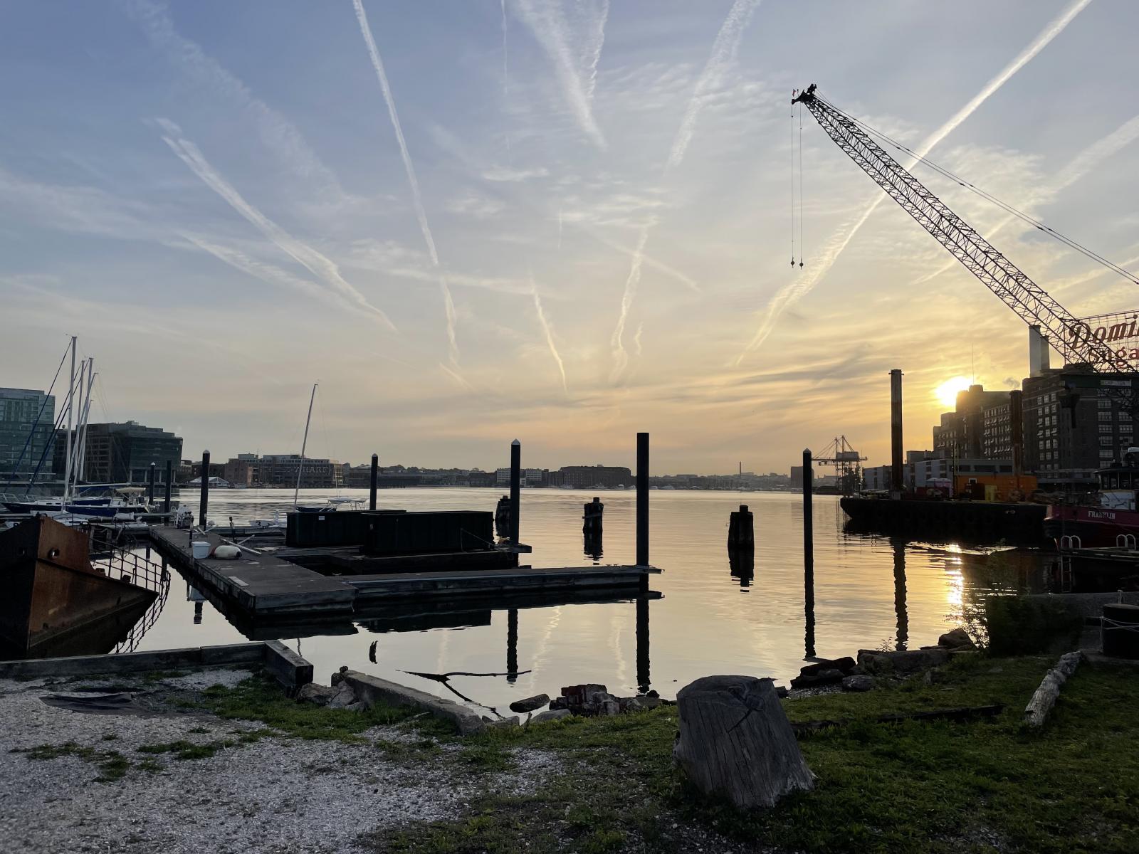 IMG_3007.jpeg | SpinSheet