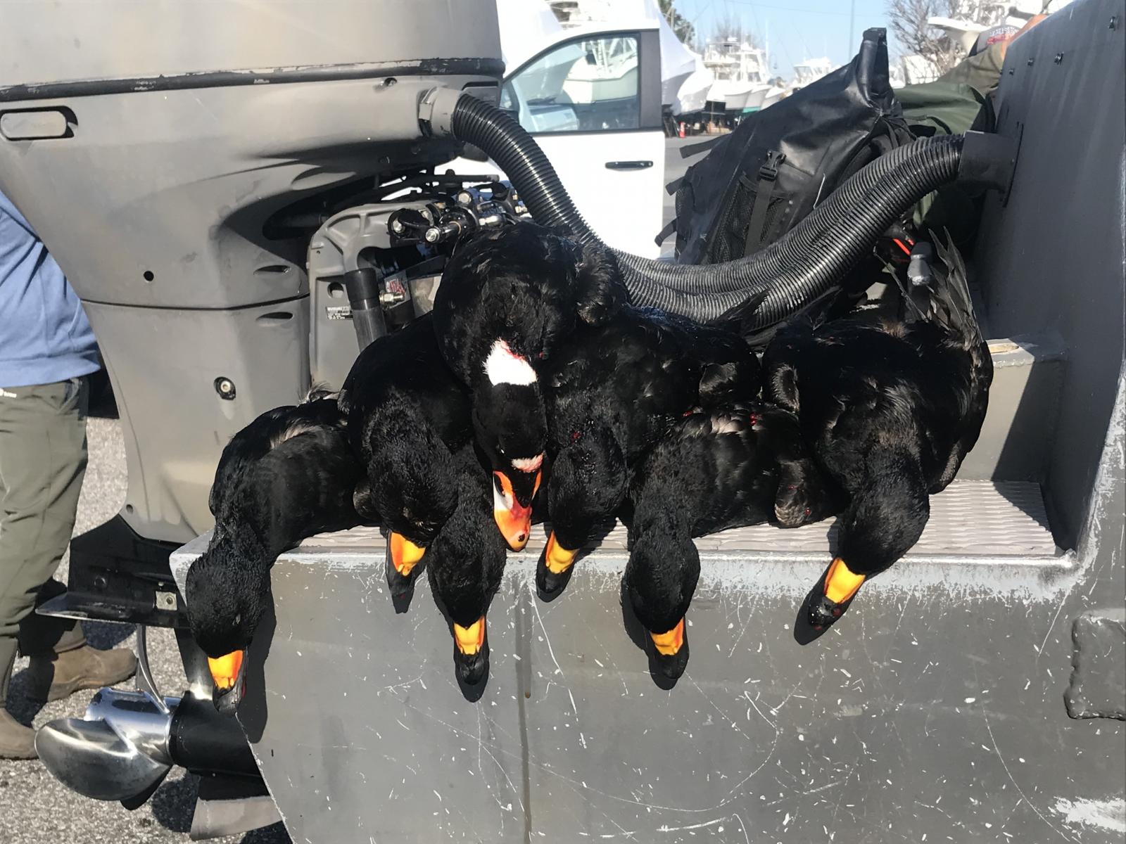 IMG_3089.JPG | SpinSheet