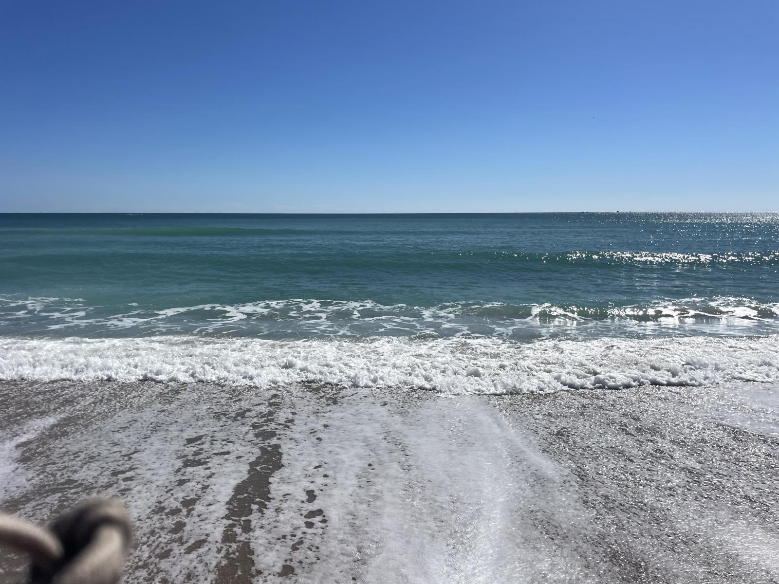 IMG_3493.jpeg | SpinSheet