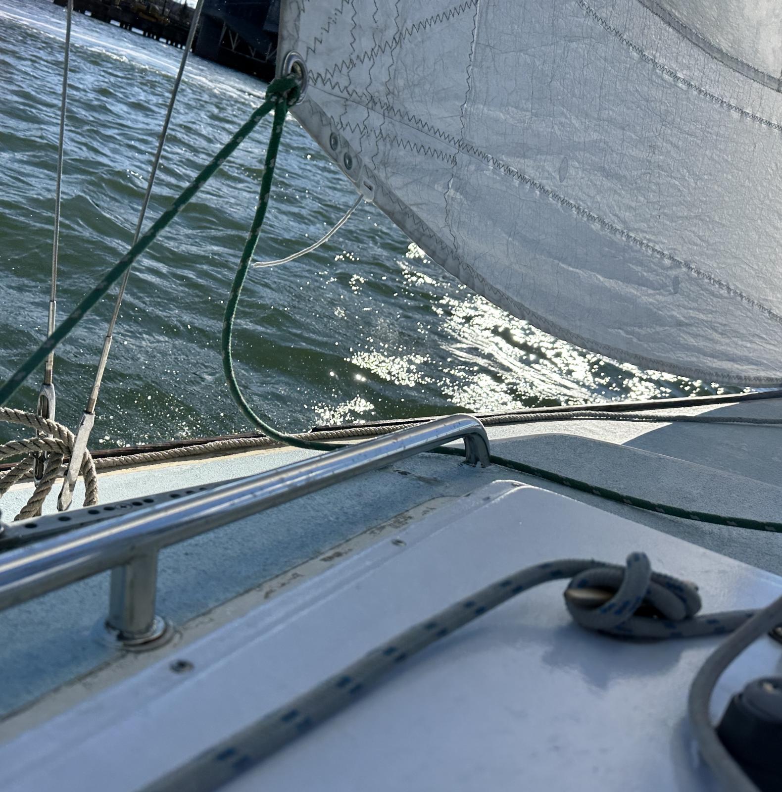 IMG_3495.jpeg | SpinSheet