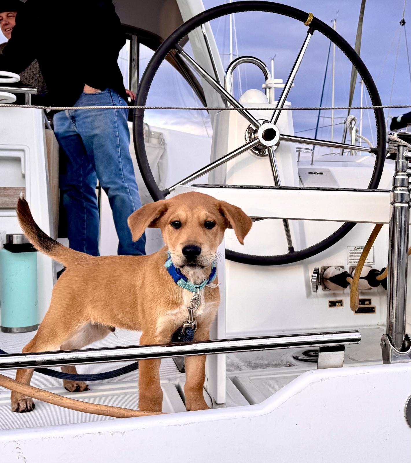 IMG_5474.jpeg | SpinSheet