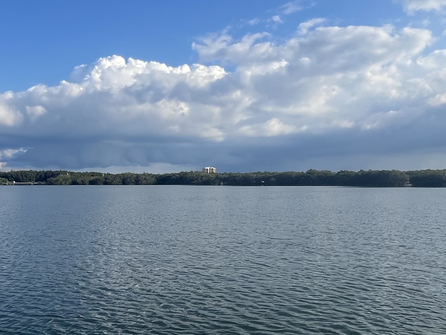 IMG_6020.jpeg | SpinSheet